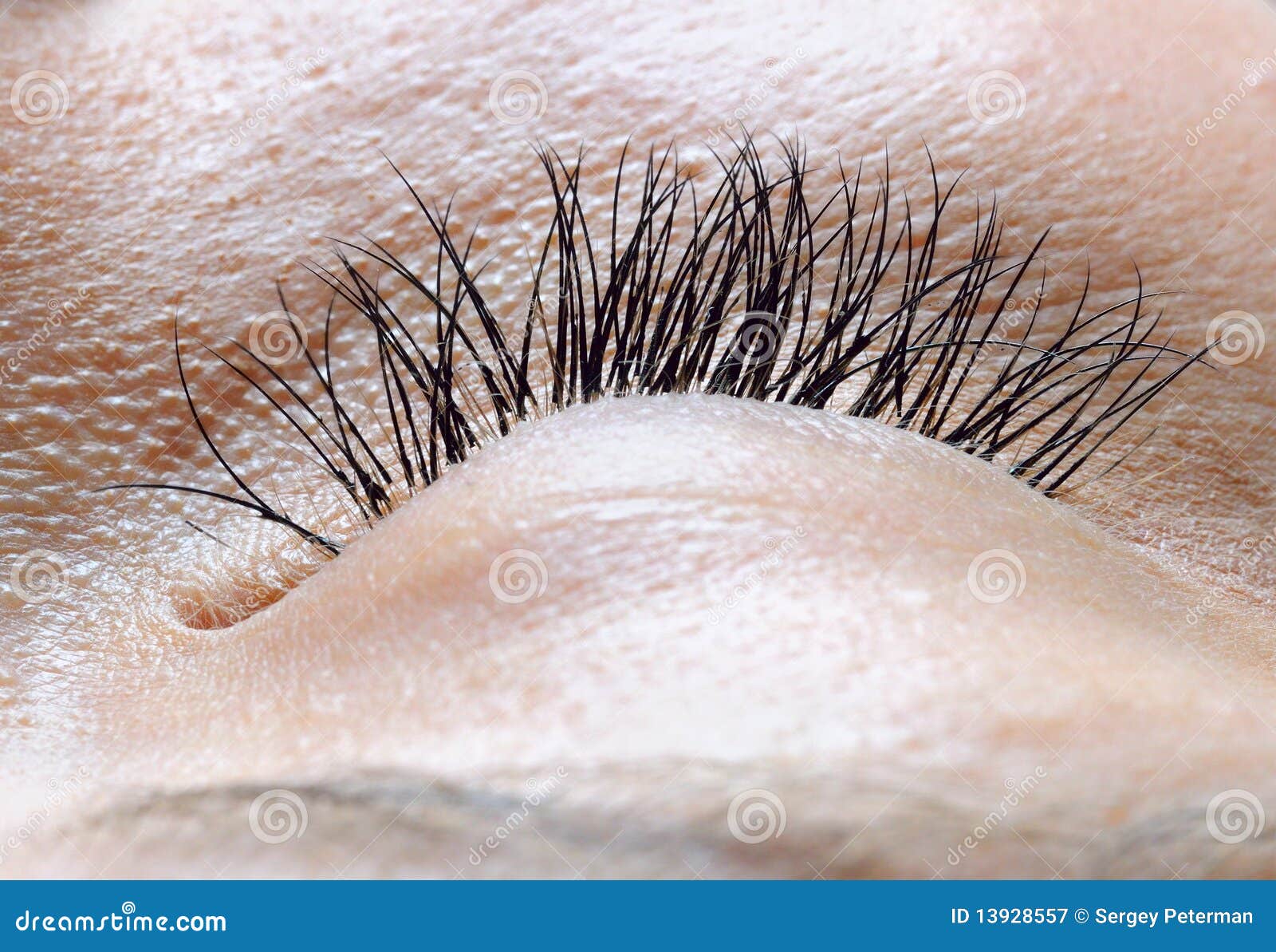 Closeup of Female Closed Eye Stock Image - Image of girl, face: 13928557