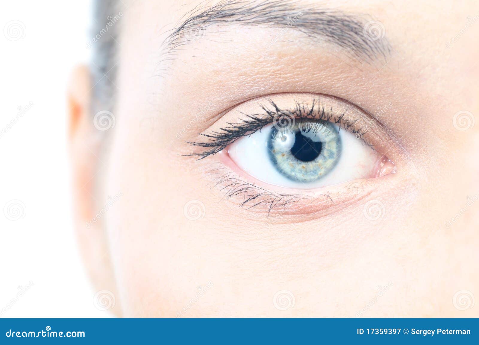 Closeup of a female eye stock image. Image of bright - 17359397