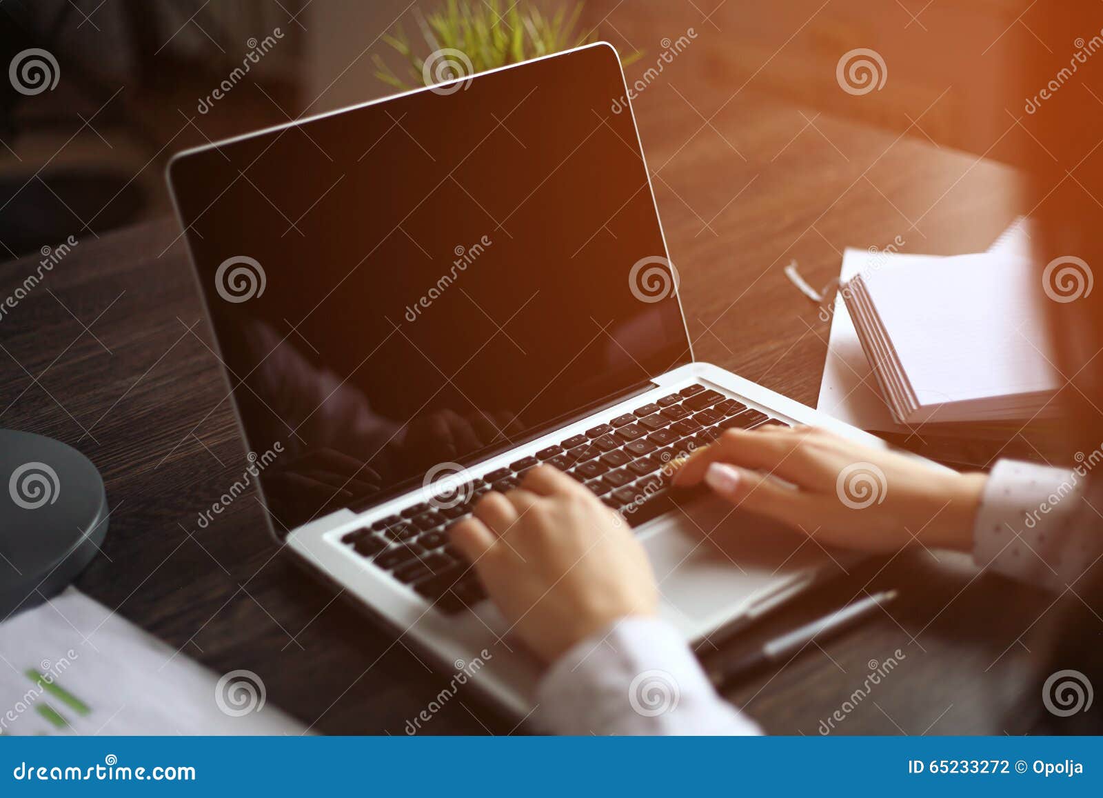 Closeup of a Female Hands Busy Typing on a Laptop Stock Photo - Image ...