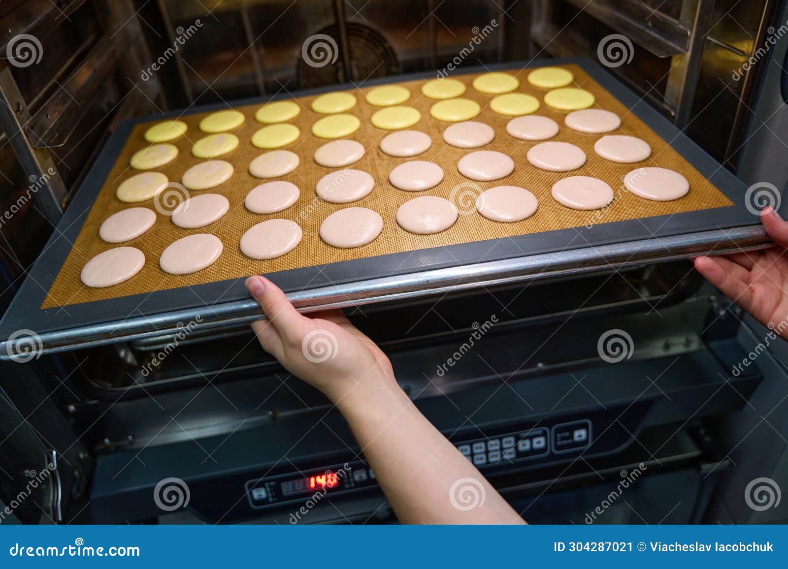 Experienced Pastry Chef is Baking Batch of Biscuits in Kitchen Stock ...