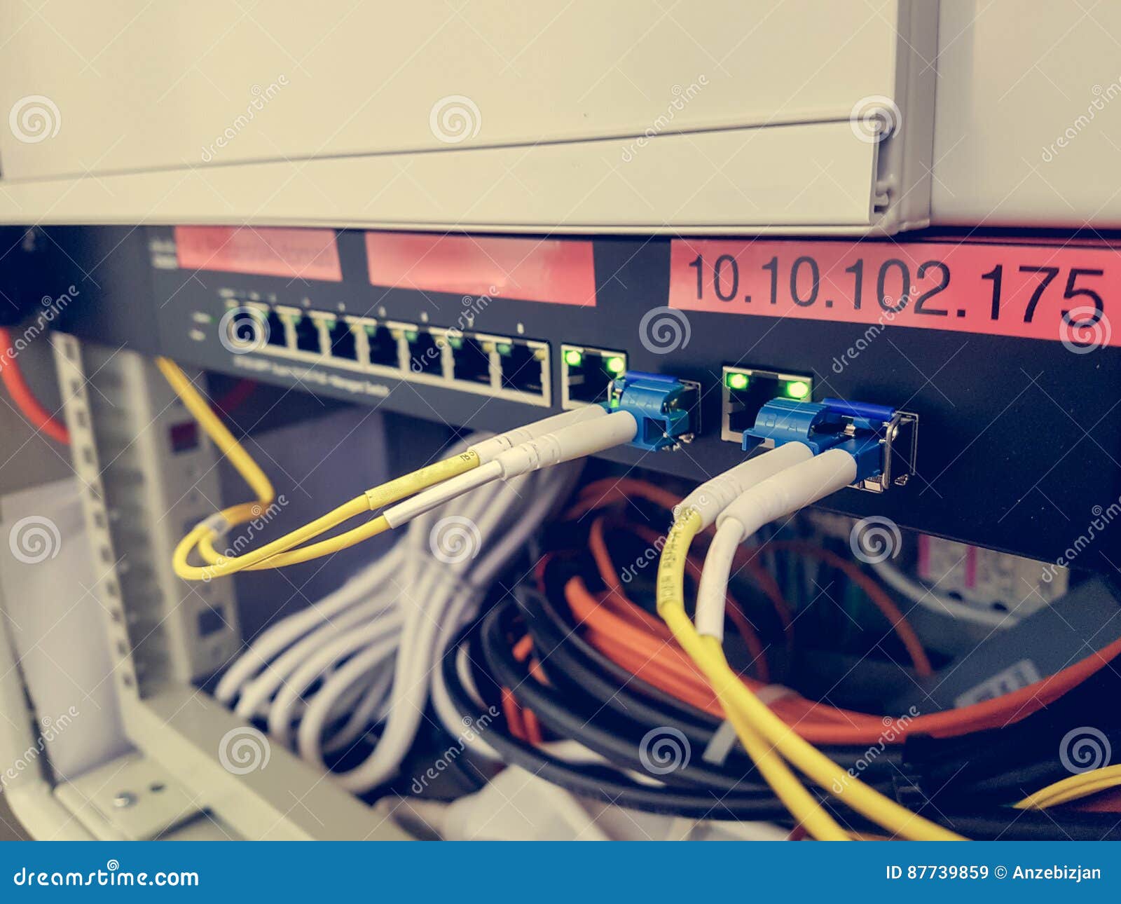 Closeup of Fiber Optic Cable Plugged into Switch. Stock Image - Image ...