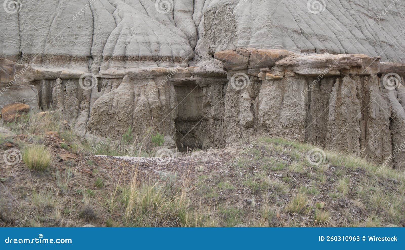Closeup of a Field with Rocky Mountains in the Background Stock Image ...