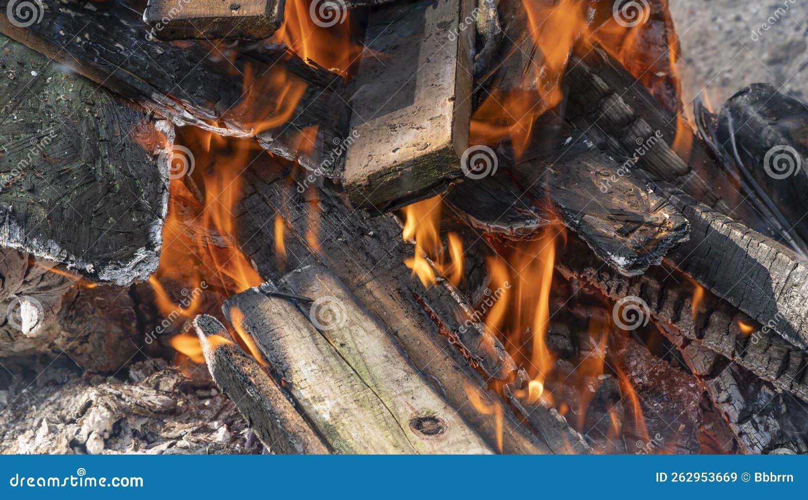 Closeup fire in a campfire stock image. Image of burnt - 262953669