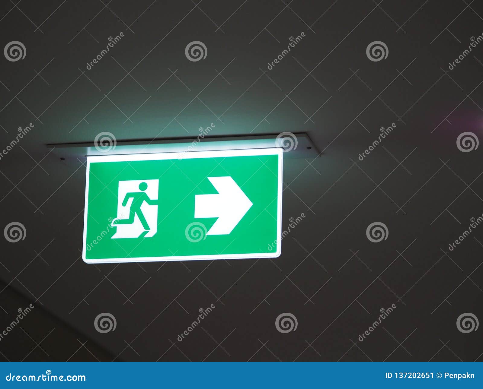 Fire Escape Sign on the Ceiling Fire Exit Arrow Symbol Stock Image ...