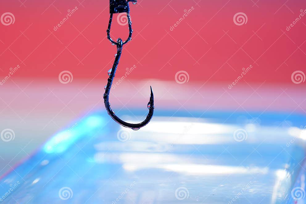 Closeup of a Fishhook Pulled Out of the Water Stock Image - Image of ...