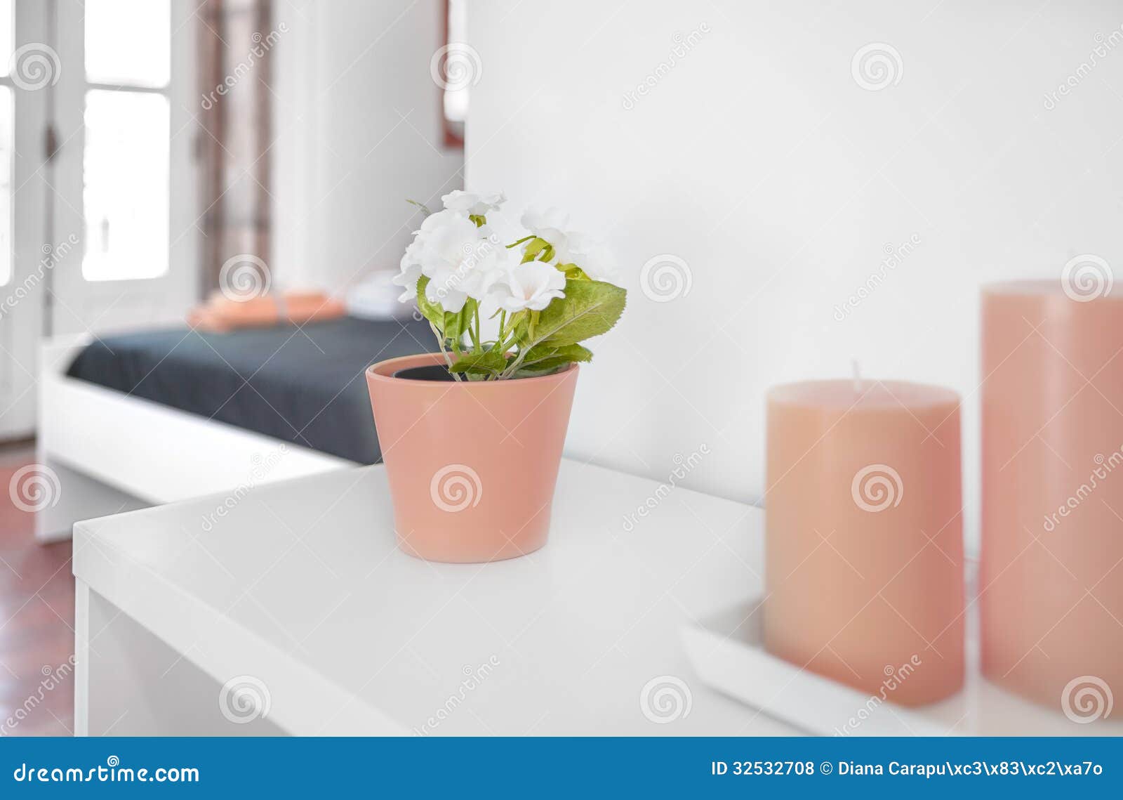 Closeup of a flower pot stock photo. Image of fresh, luxury - 32532708