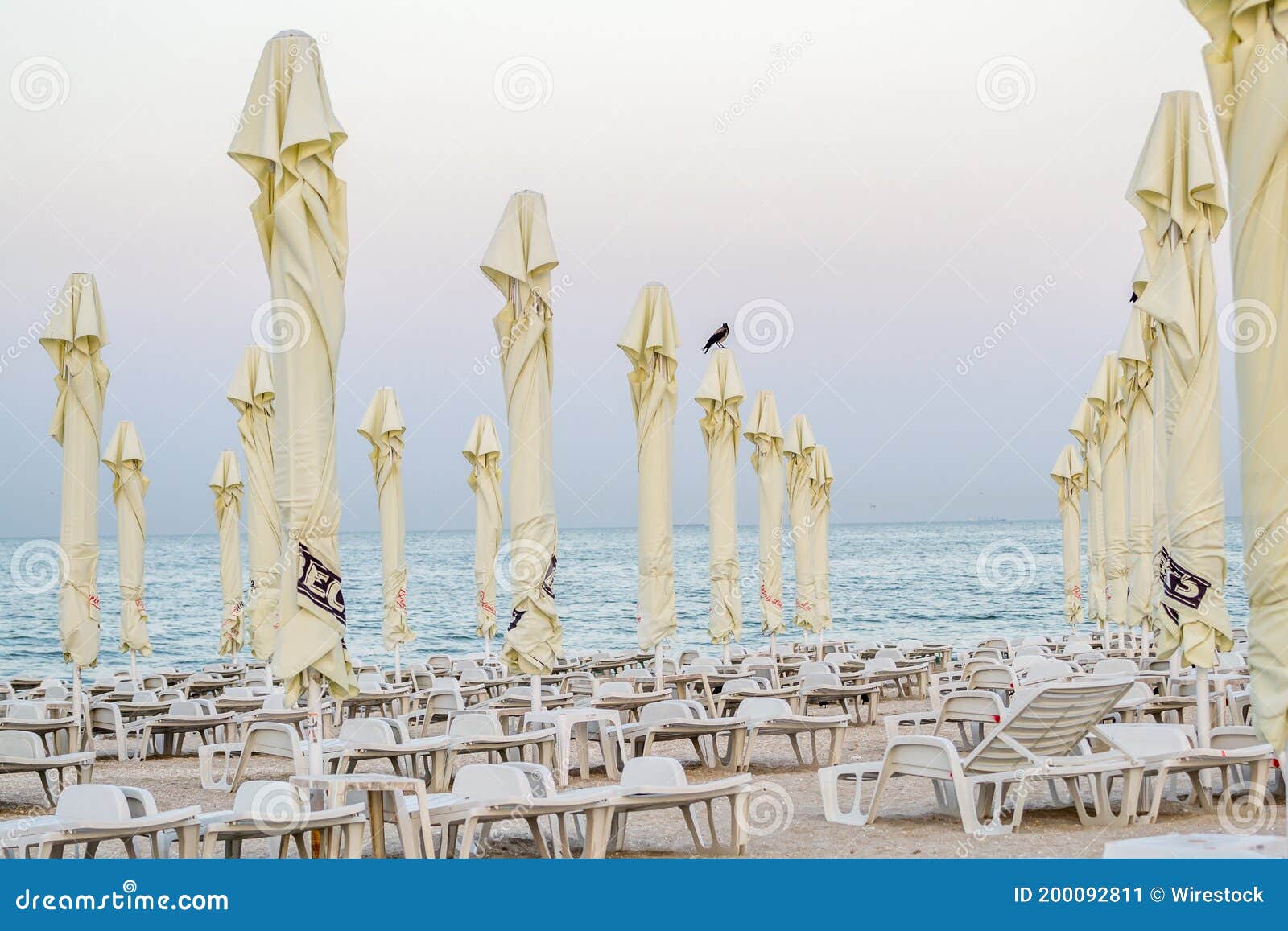 Closeup Focus Shot of Closed Beach Umbrella Rows Stock Image - Image of ...
