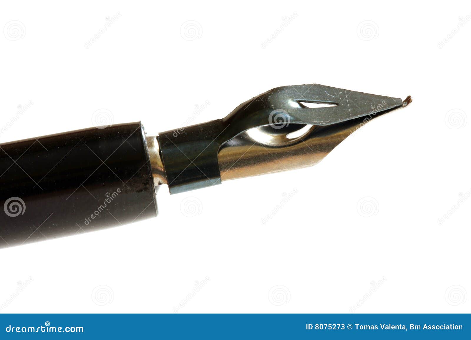 Closeup Of Fountain Pen Picture. Image: 8075273