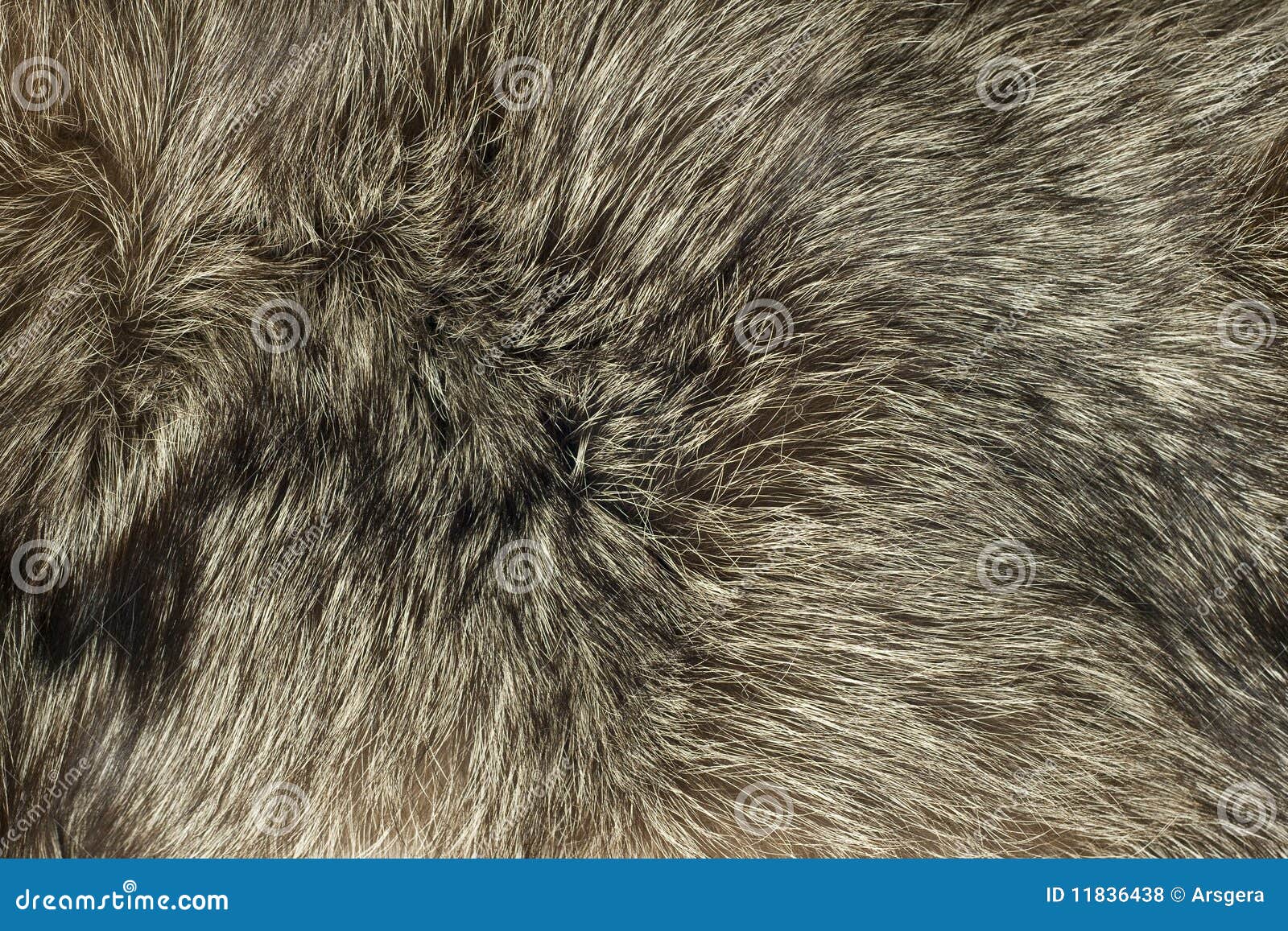 Closeup of Fox fur stock photo. Image of beautiful, white - 11836438