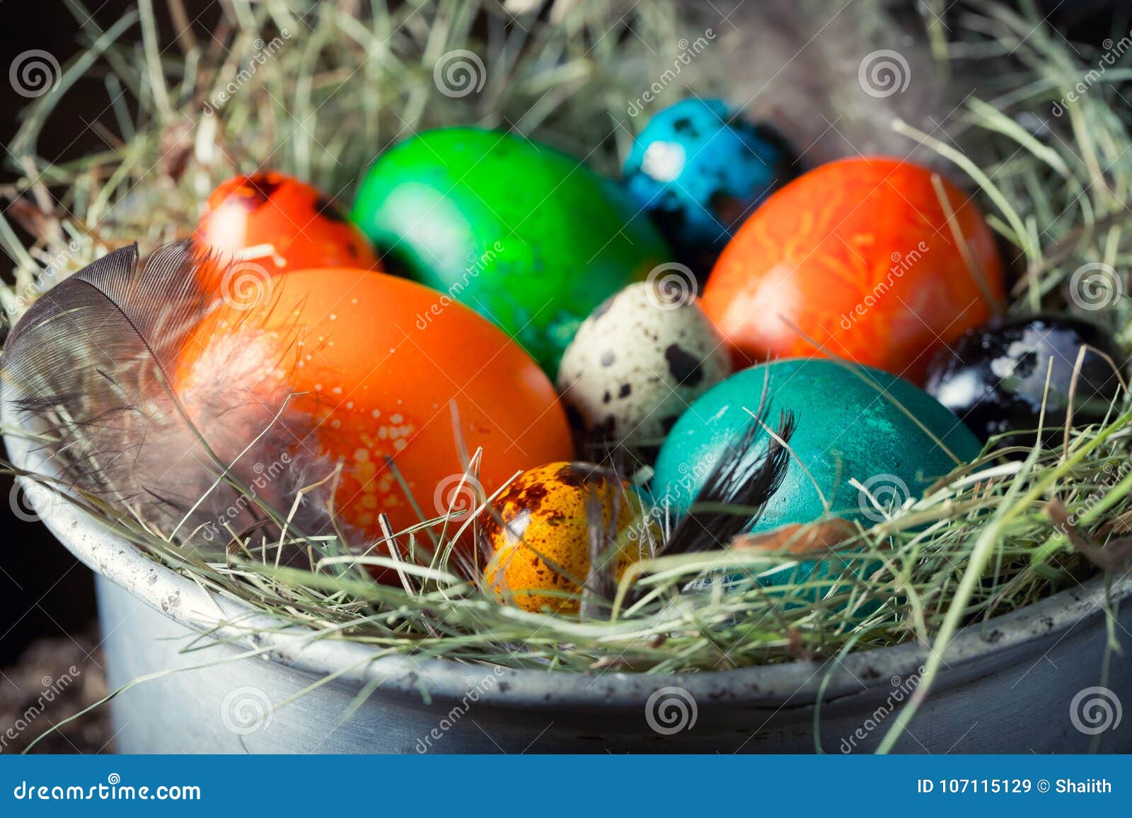 Closeup of Fresh Colorful Eggs for Easter on Hay Stock Image - Image of ...