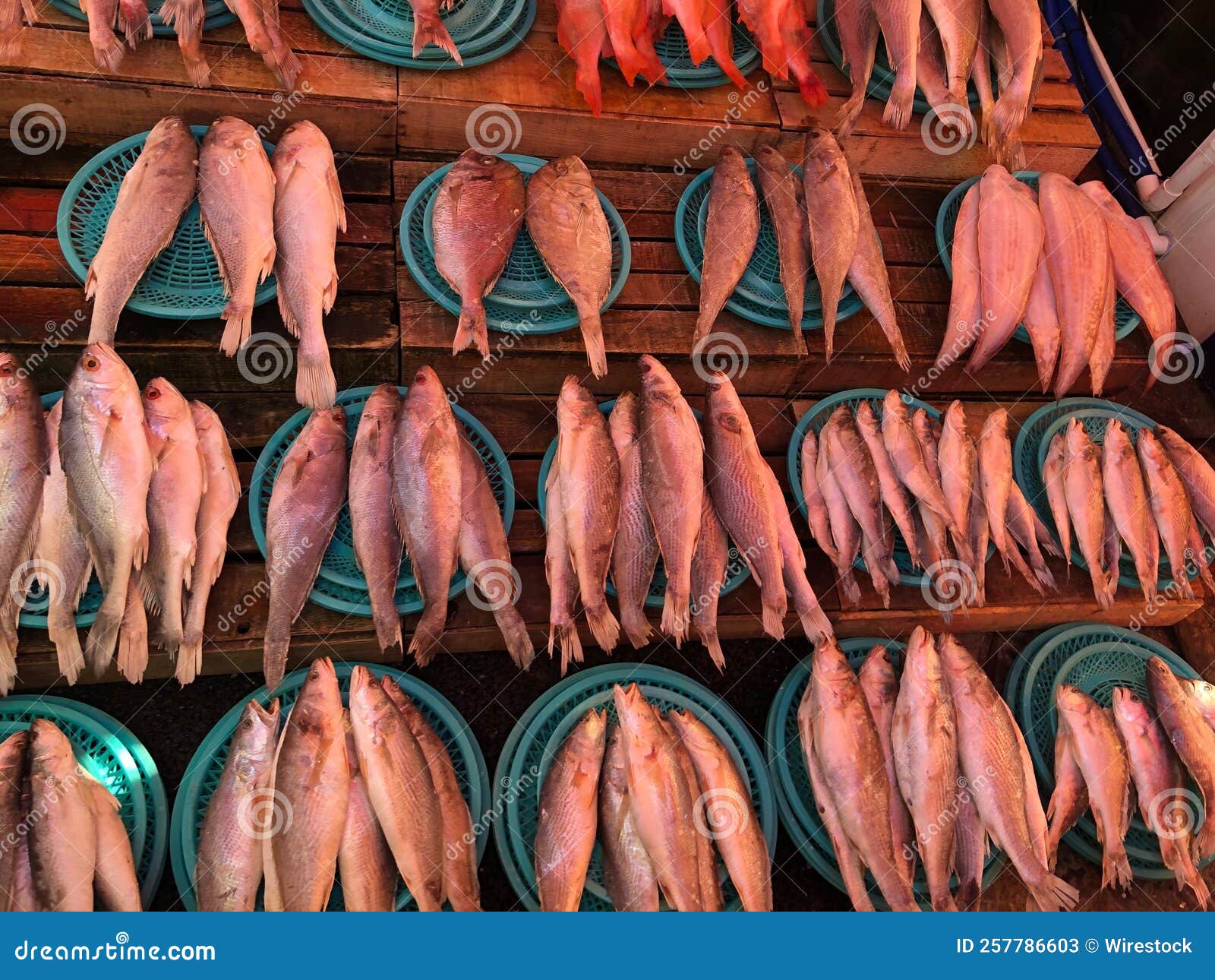 Closeup of Fresh Fish in Market Stock Image - Image of food, animal ...