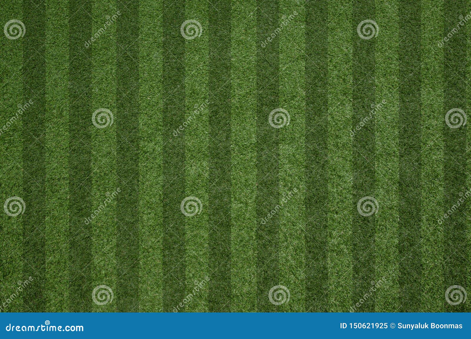 Closeup Fresh Green Grass Texture Pattern Background for Football Field ...
