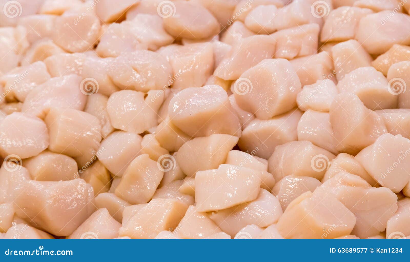 Closeup Fresh Jumbo Scallops Stock Image - Image of shellfish, live ...