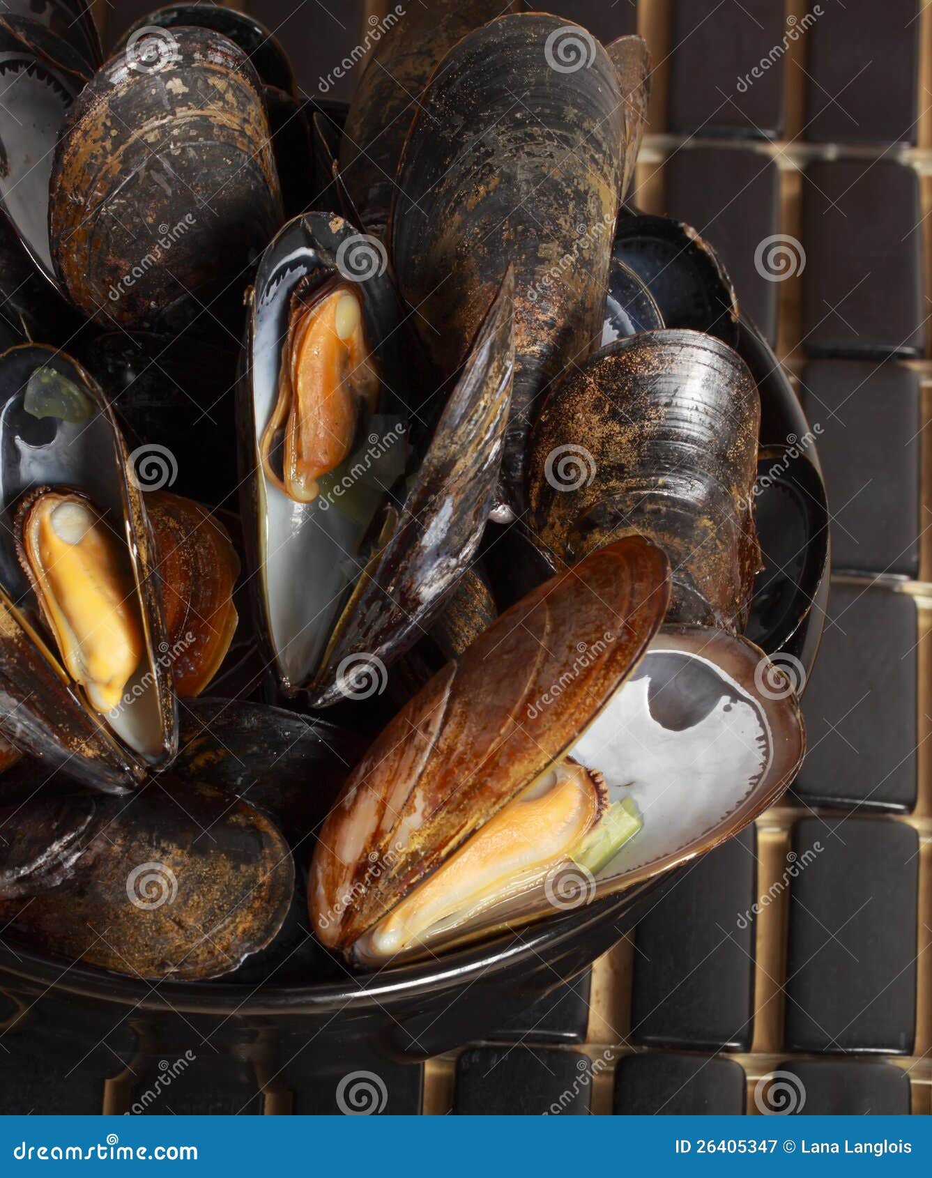 Closeup on fresh mussels stock image. Image of shell - 26405347