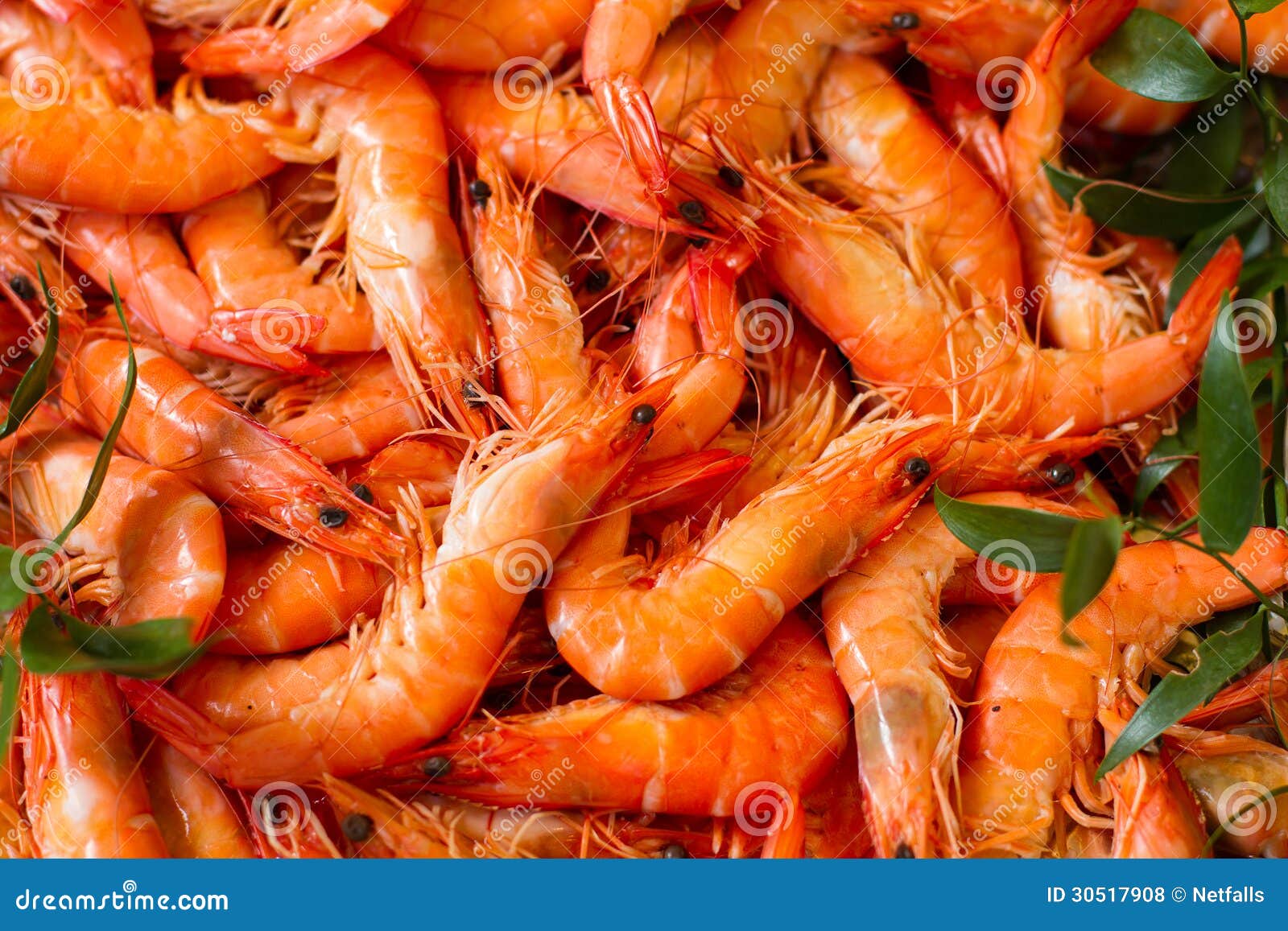 Closeup on fresh prawns stock photo. Image of stall, seafruit - 30517908