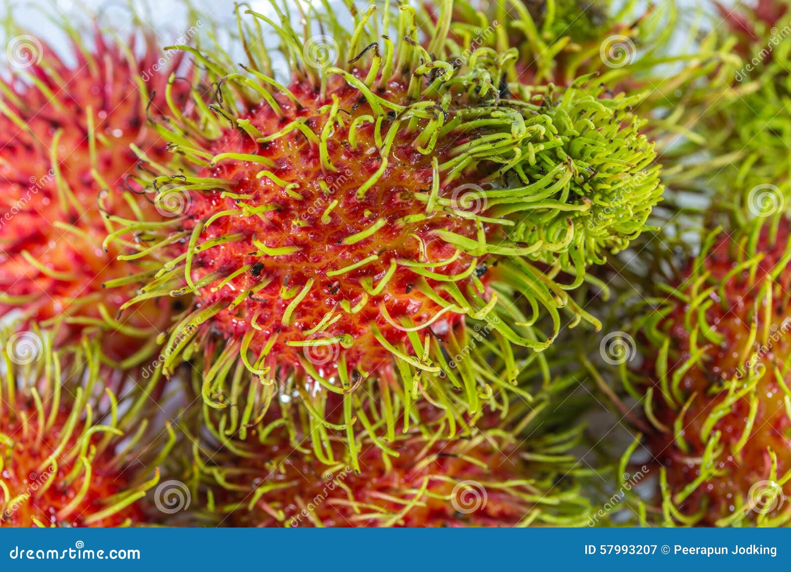 Closeup Fresh Rambutan is a Fruit with Sweet Red Shell Stock Image ...