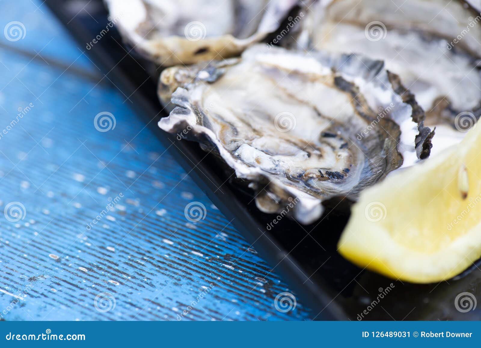 Closeup of Fresh Shucked Oysters. Stock Image - Image of healthy, food ...