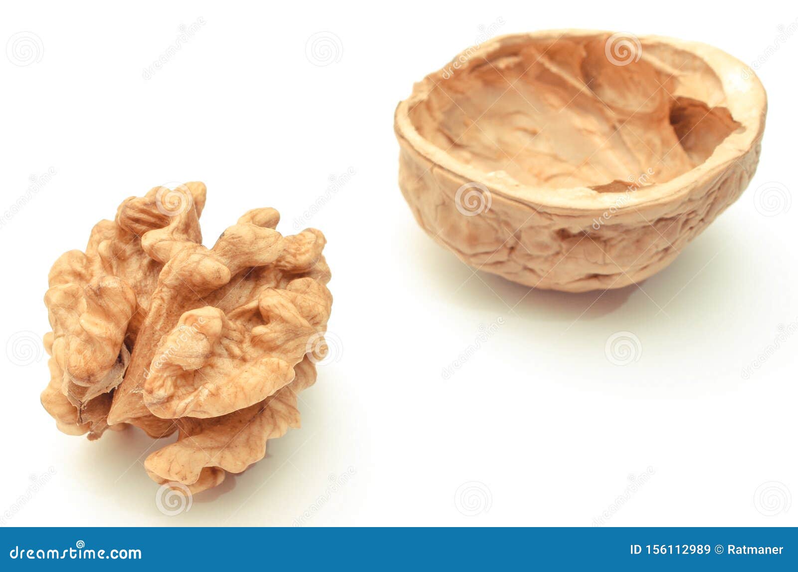 Fresh Walnut with Nutshell on White Background Stock Image - Image of ...