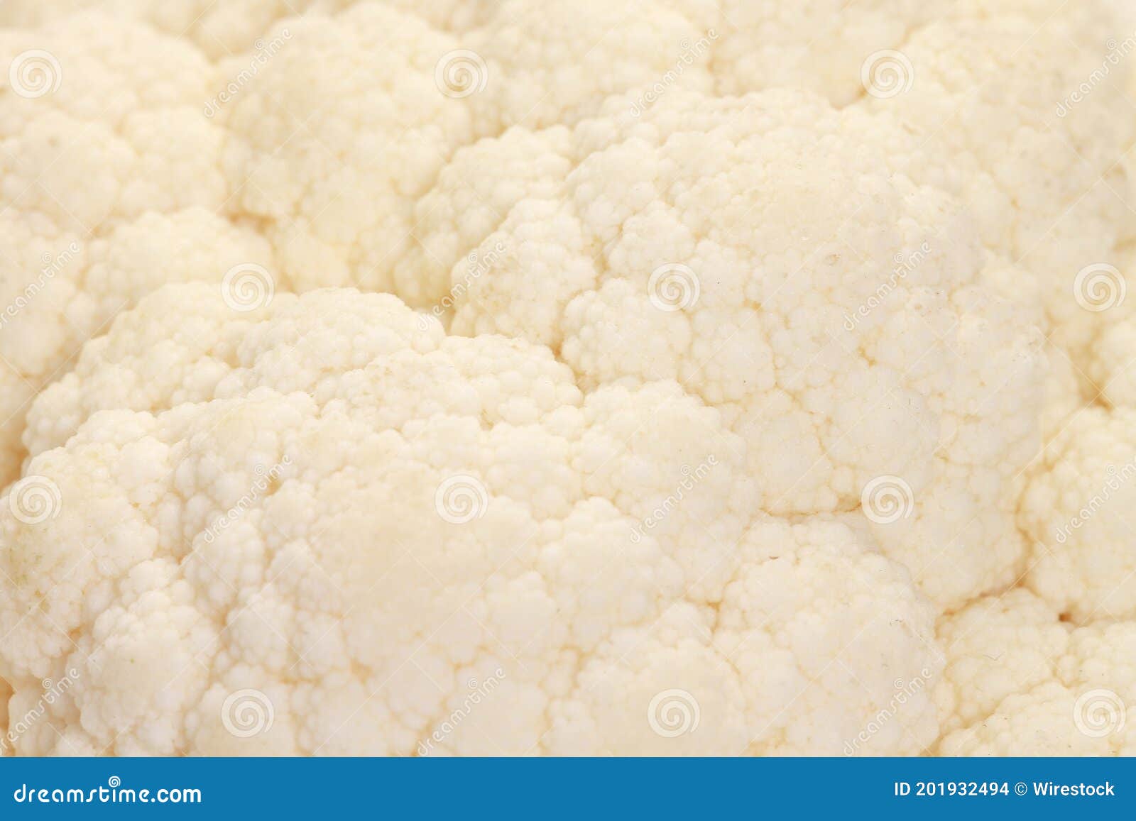 Closeup of the Fresh White Cauliflower Texture Stock Photo - Image of ...