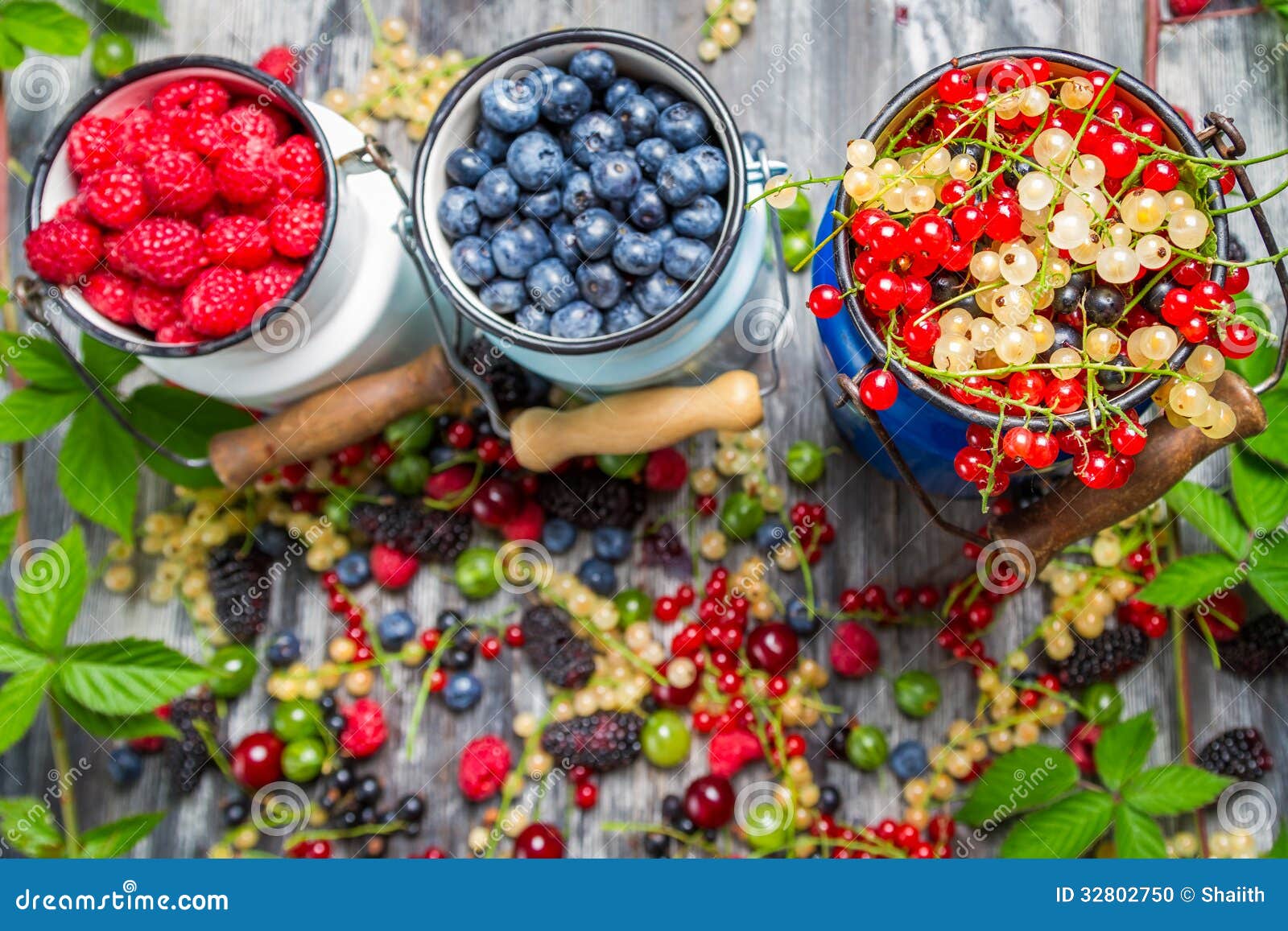 Closeup of Fresh Wild Berry Fuits Stock Photo - Image of churn, crop ...