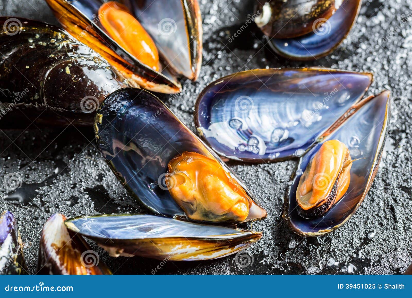 Closeup of Freshly Caught Raw Mussels Stock Image - Image of fishing ...