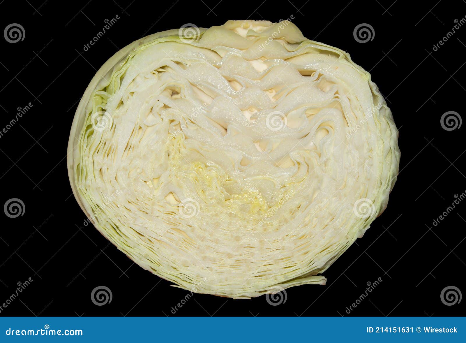 Closeup of a Freshly Cut Cabbage Under the Lights Isolated on a Black ...