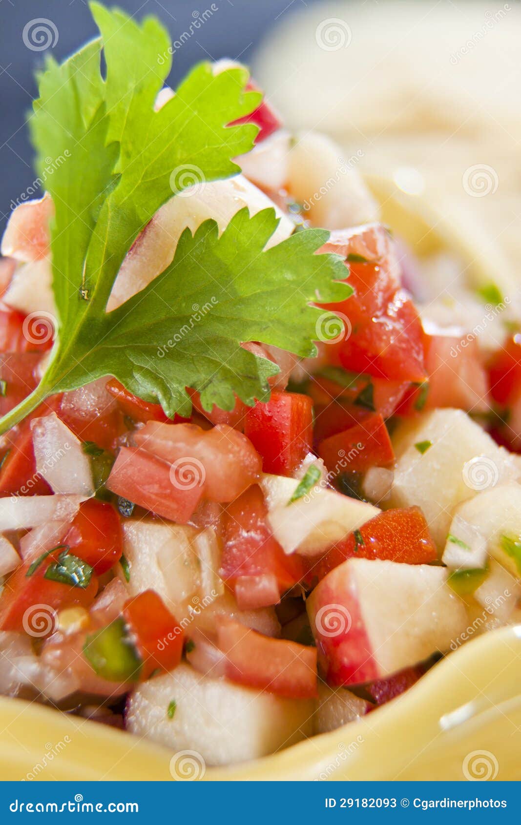 Closeup on Freshly Cut Salsa Bowl Stock Image - Image of snack, fresh ...
