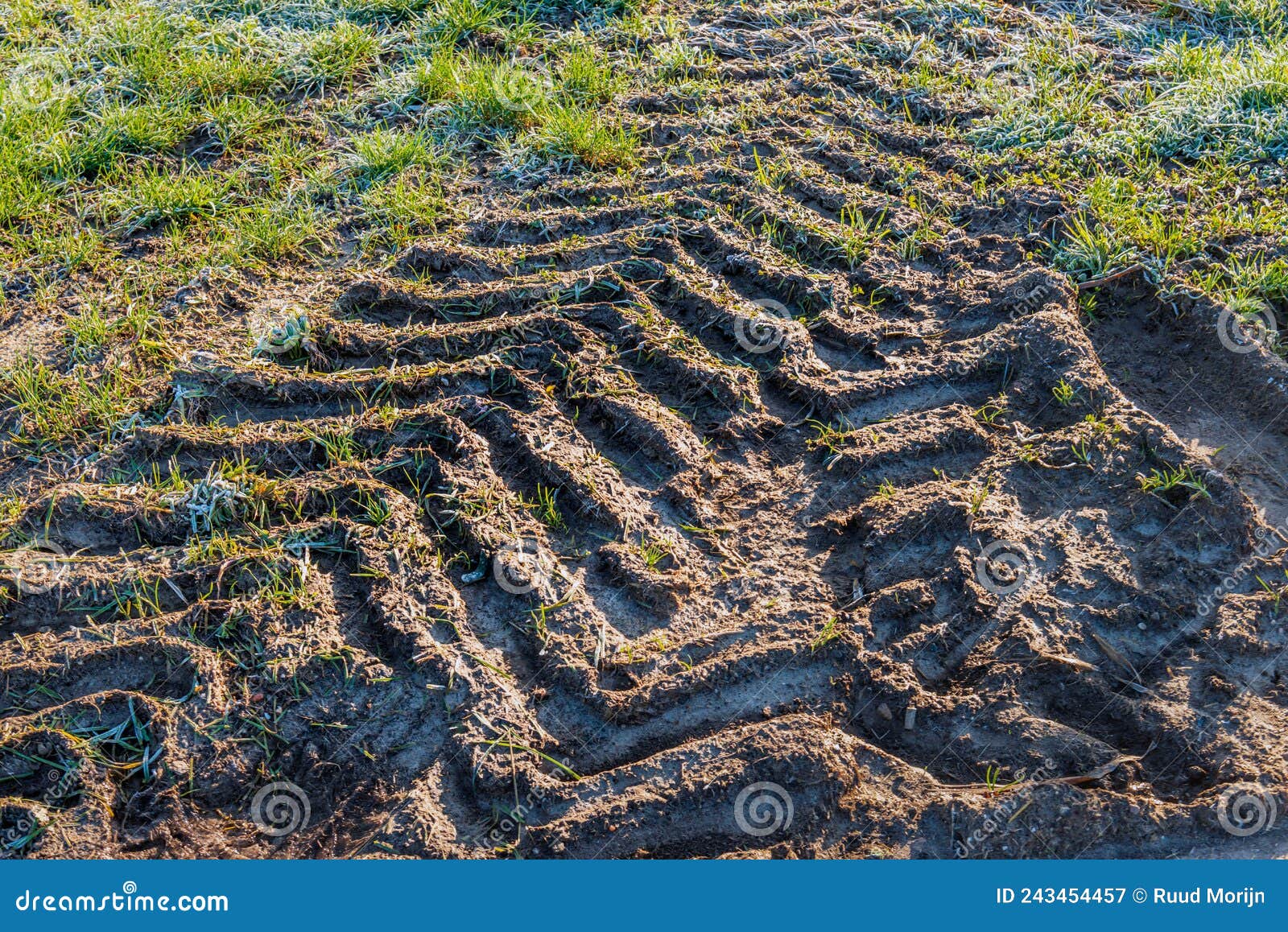 Frozen Tire Tracks in Mud and Grass Stock Image - Image of clay ...