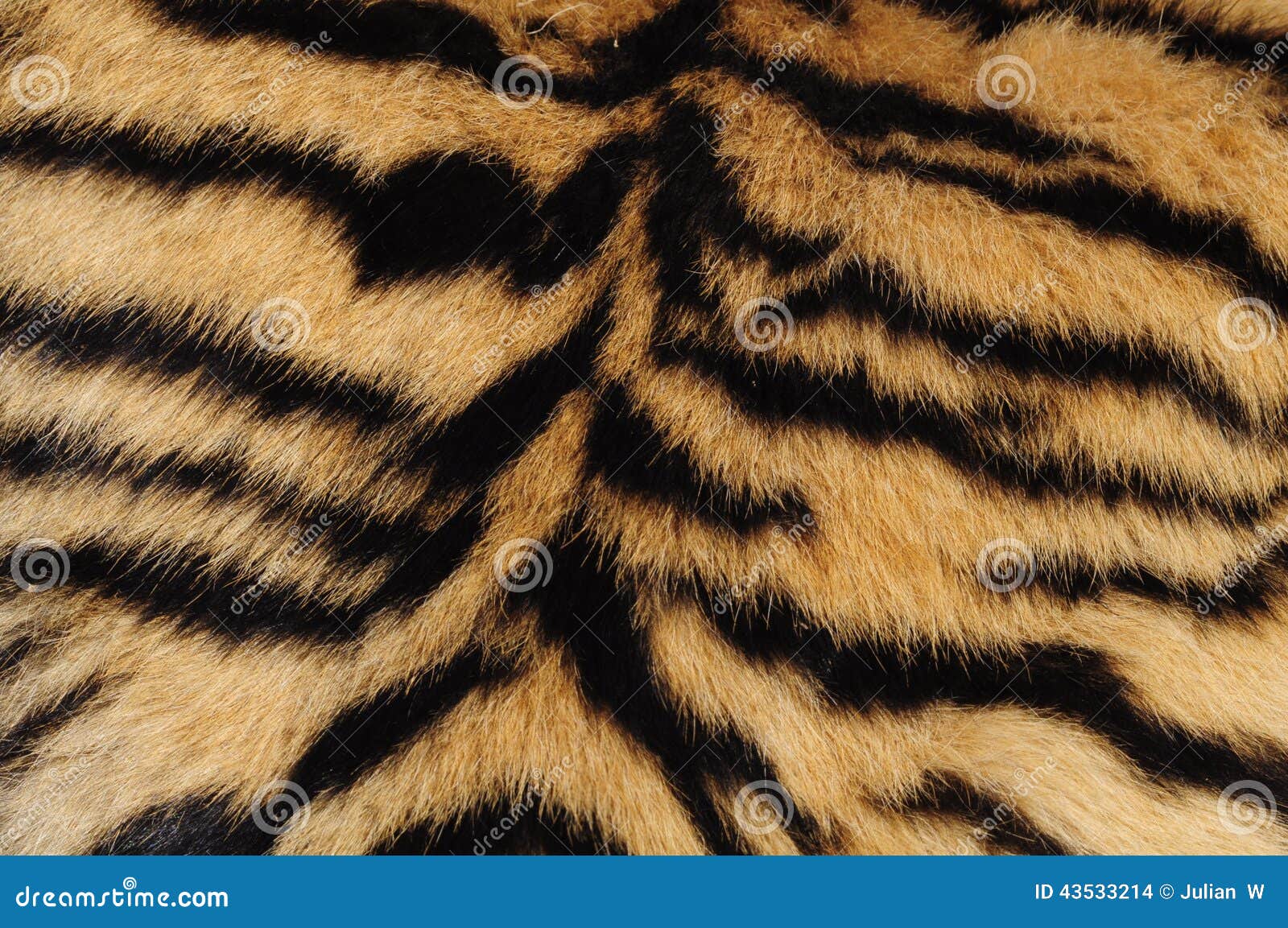 Closeup Fur Pattern of the Bengal Tiger Stock Photo - Image of stripe ...