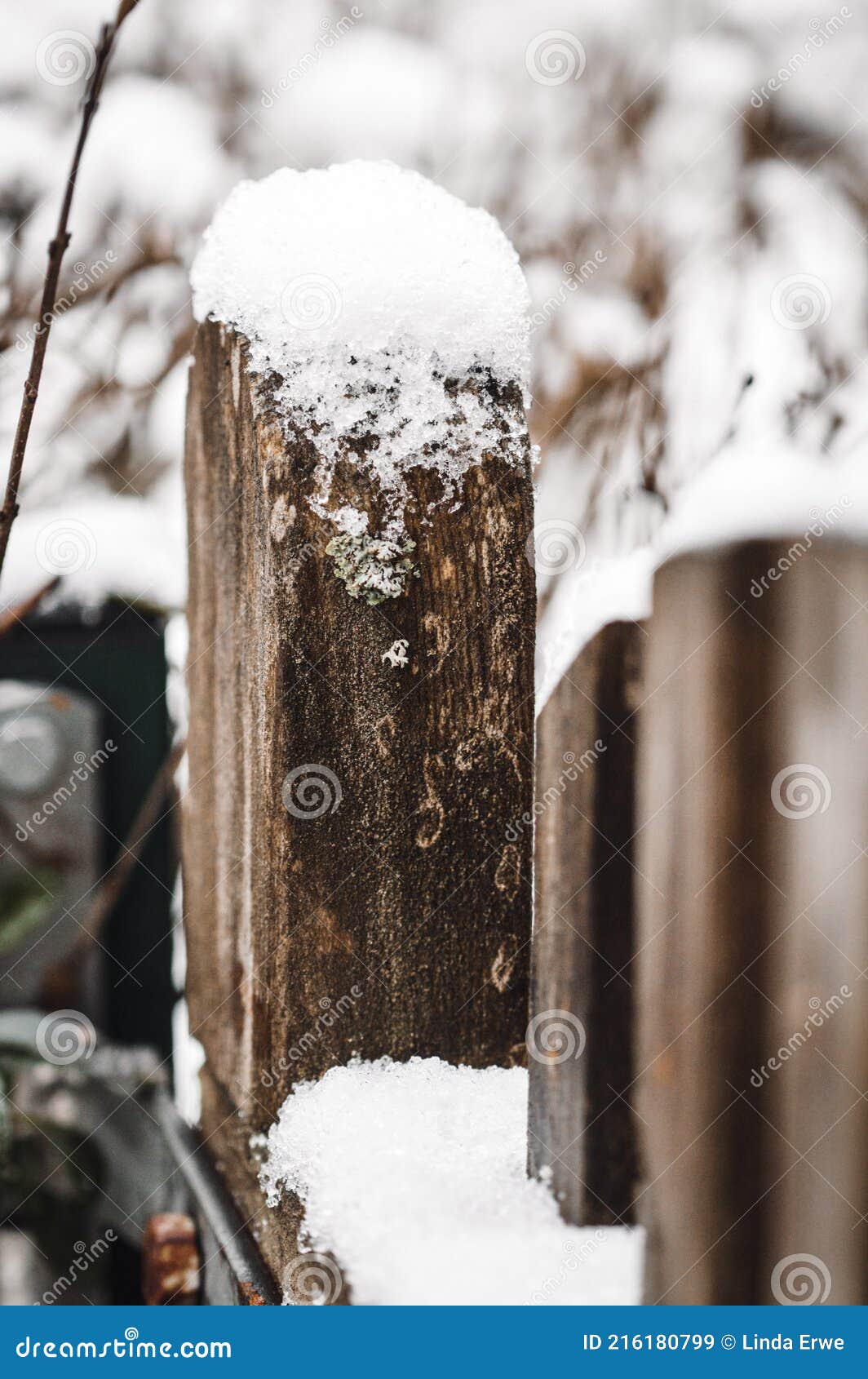 Closeup of a Gate with Snow Stock Image - Image of fence, snow: 216180799