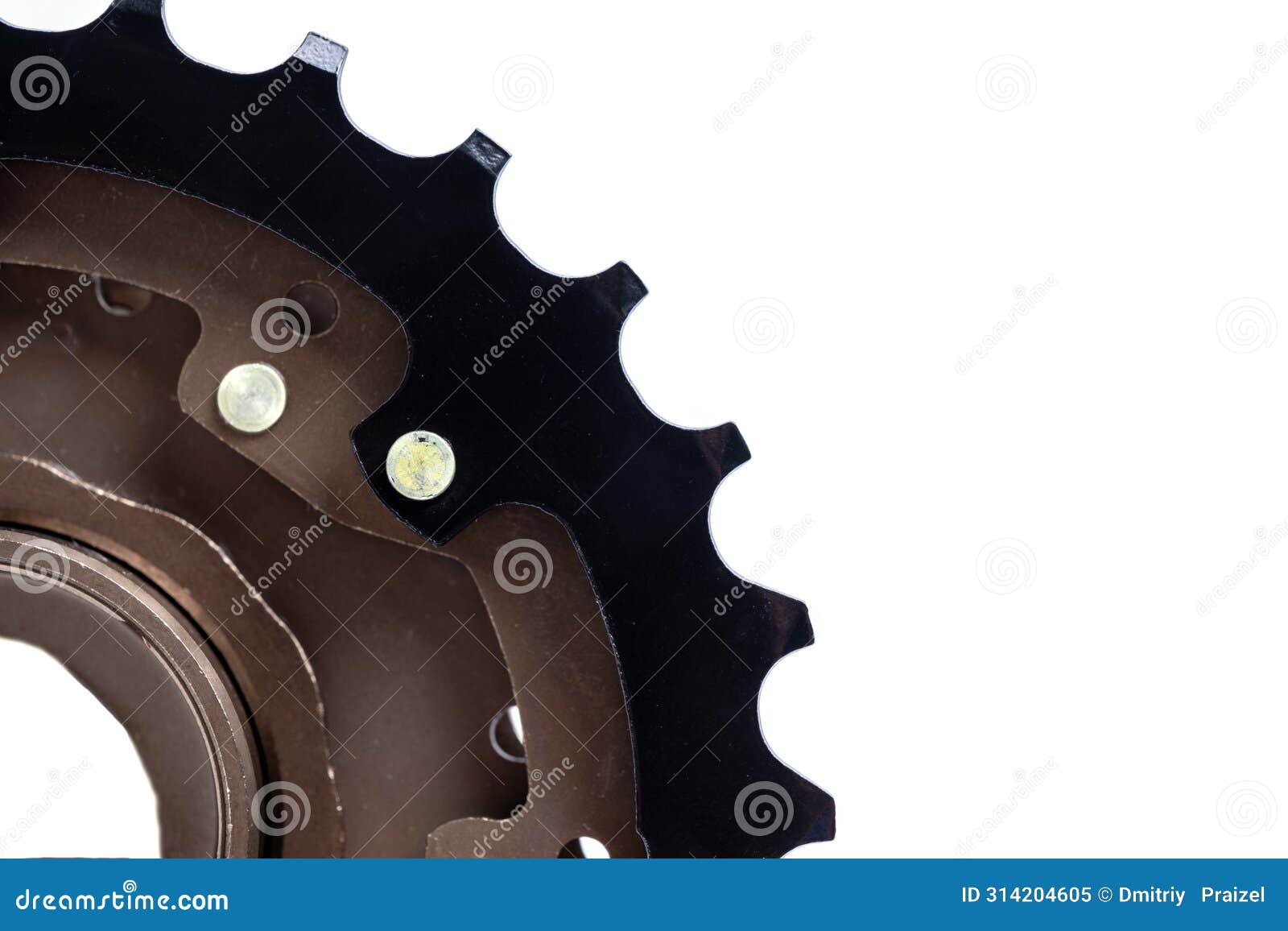 Closeup of a Gear Wheel on White Background with Copy Space. Stock ...