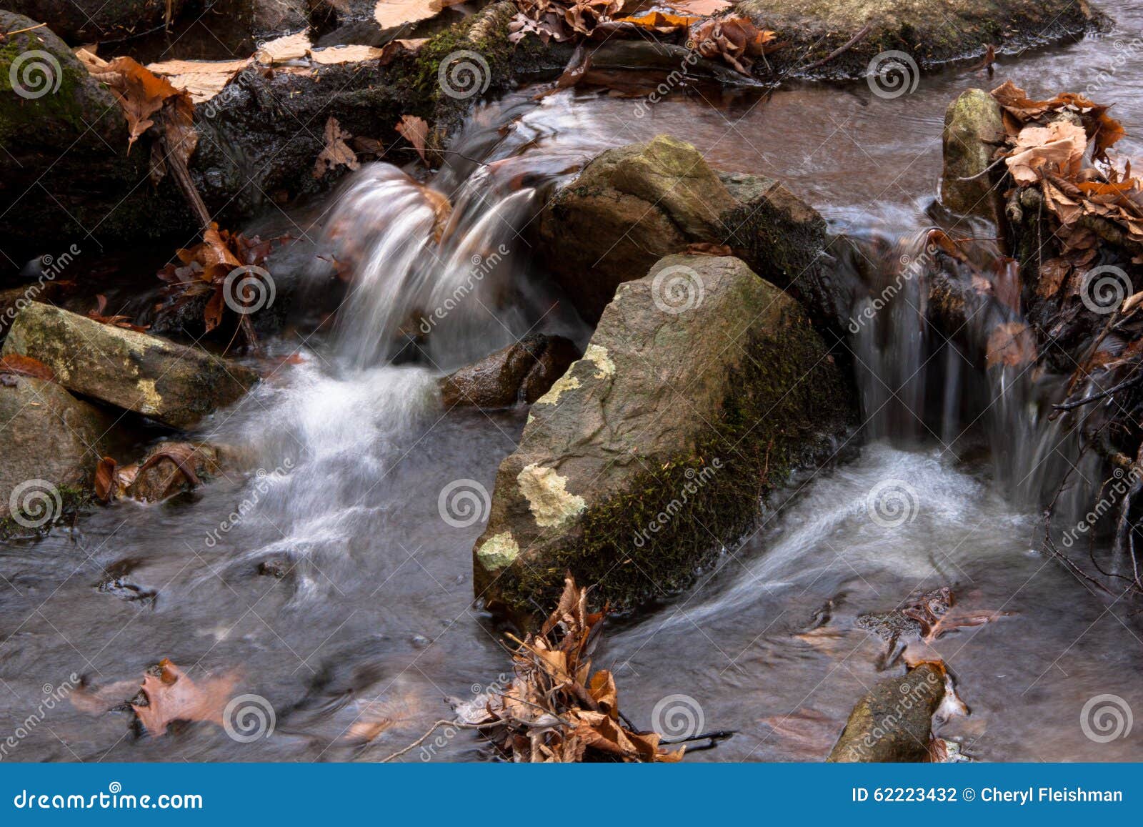Closeup of Gentle Stream in Fall Stock Photo - Image of leaves, lake ...