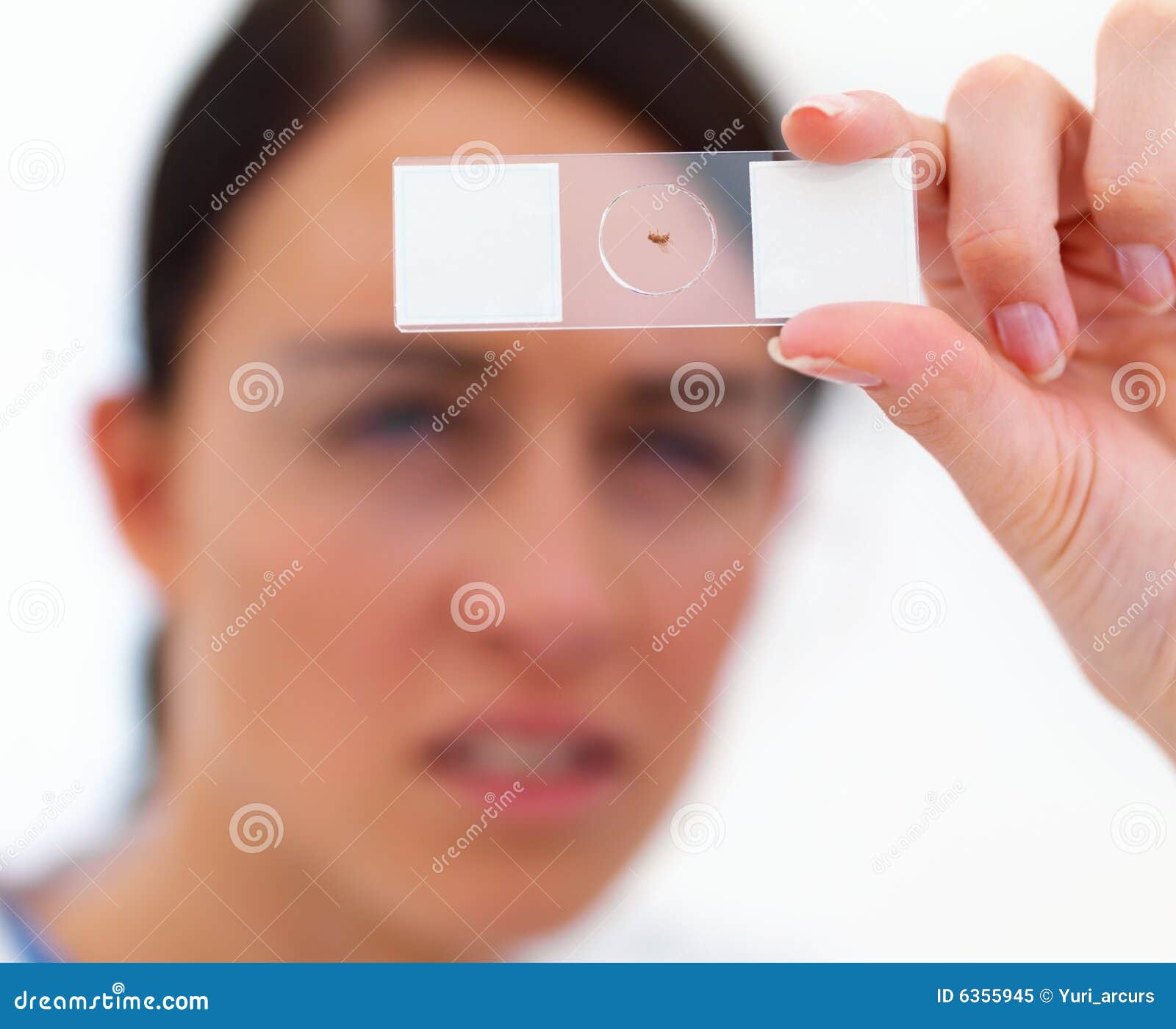 Closeup of a Girl Looking on Microscope Slide Stock Image - Image of ...