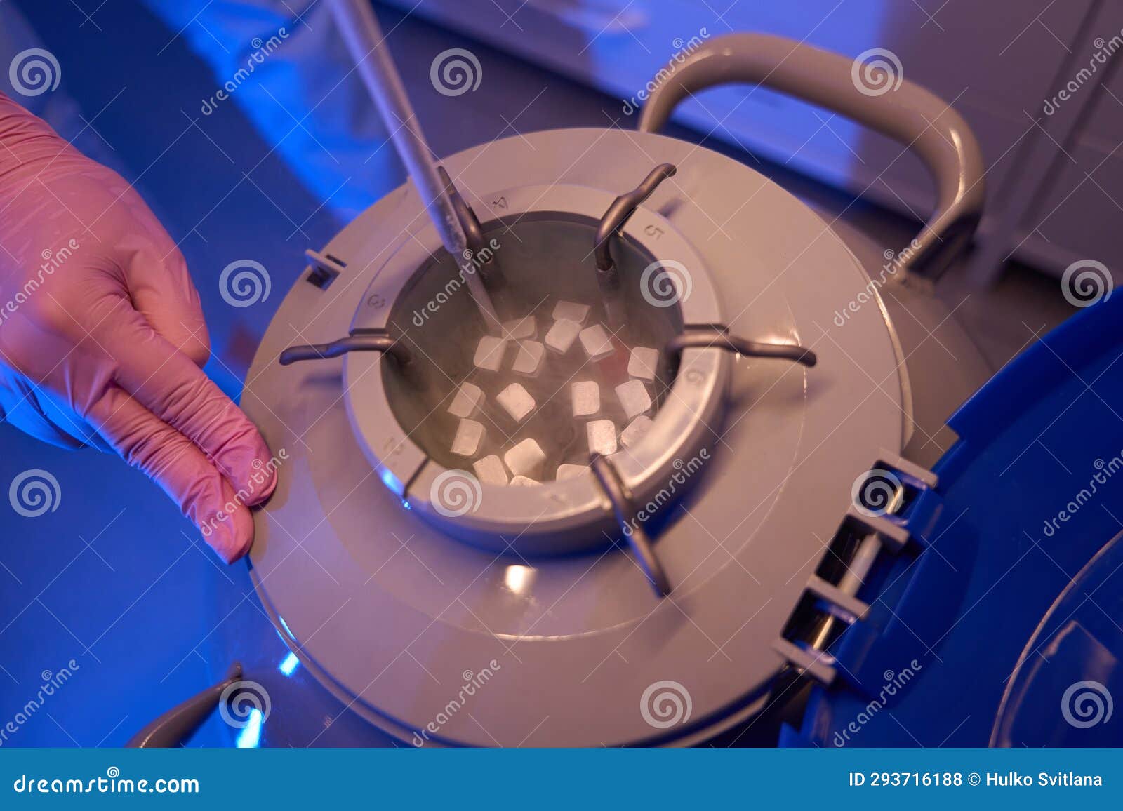 Researcher is Putting Samples into Cryogenic Tank for Storage Stock ...