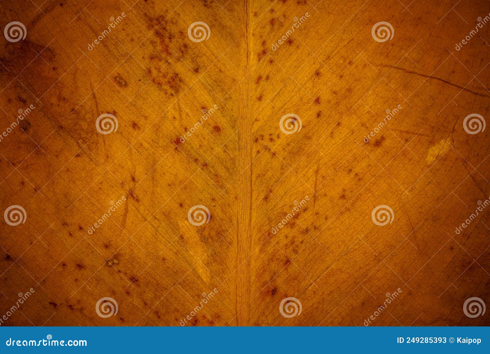 Closeup Gold Leaves for Background Stock Image - Image of structure ...