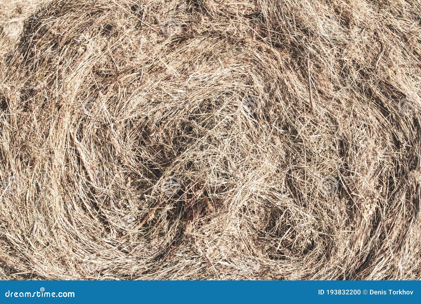 Closeup of Golden Hay Roll Circular Haystack Showing Straw Texture ...