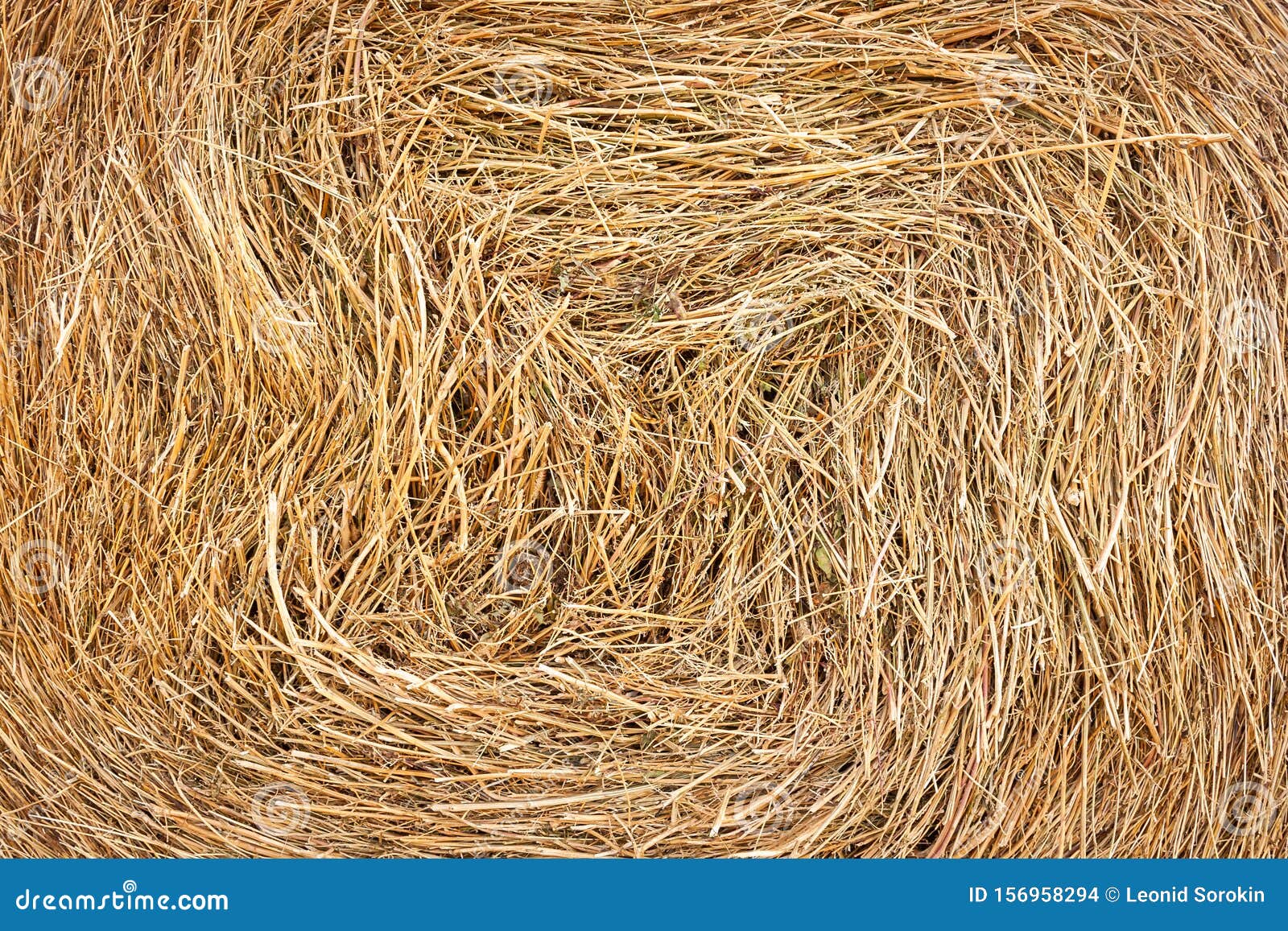 Haystack Texture Background Stock Image | CartoonDealer.com #43608625