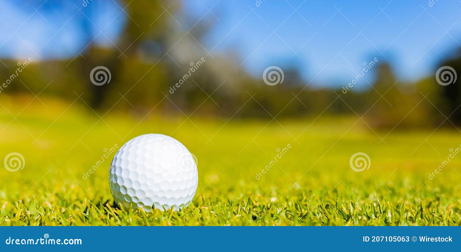 Closeup of Golf Ball on a Fairway Green at a Golf Course Stock Image ...