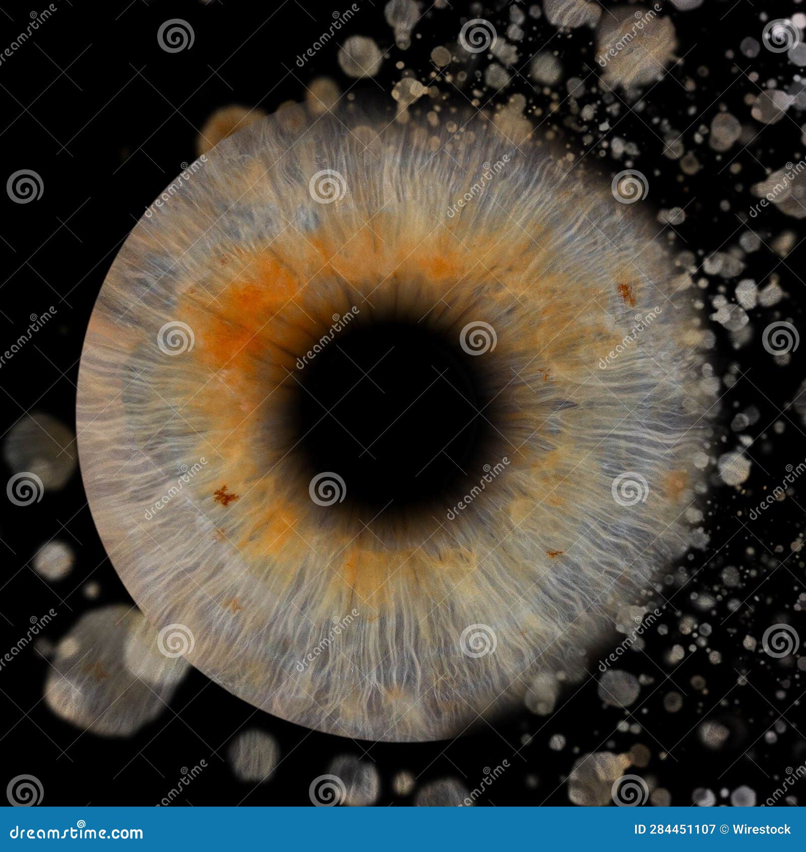 Closeup of a Gray Human Eye Iris on a Dark Background Stock Image ...