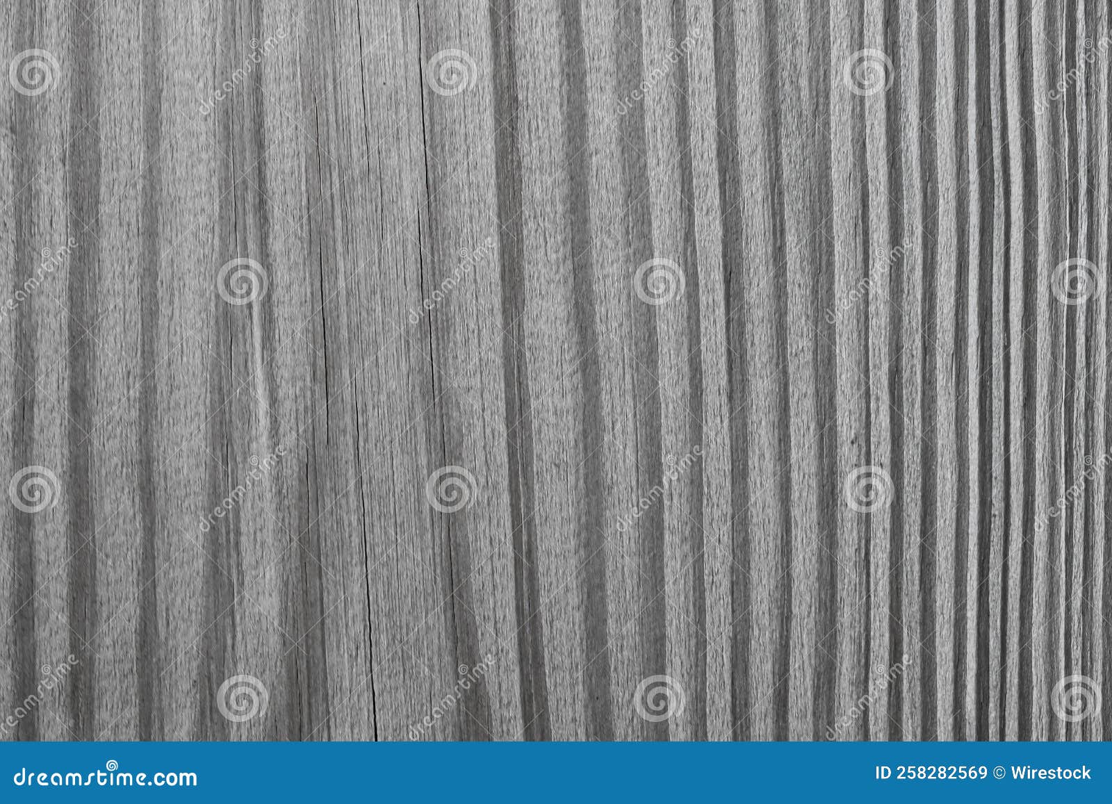 Closeup of a Gray Wood Texture with Stripes Stock Image - Image of ...