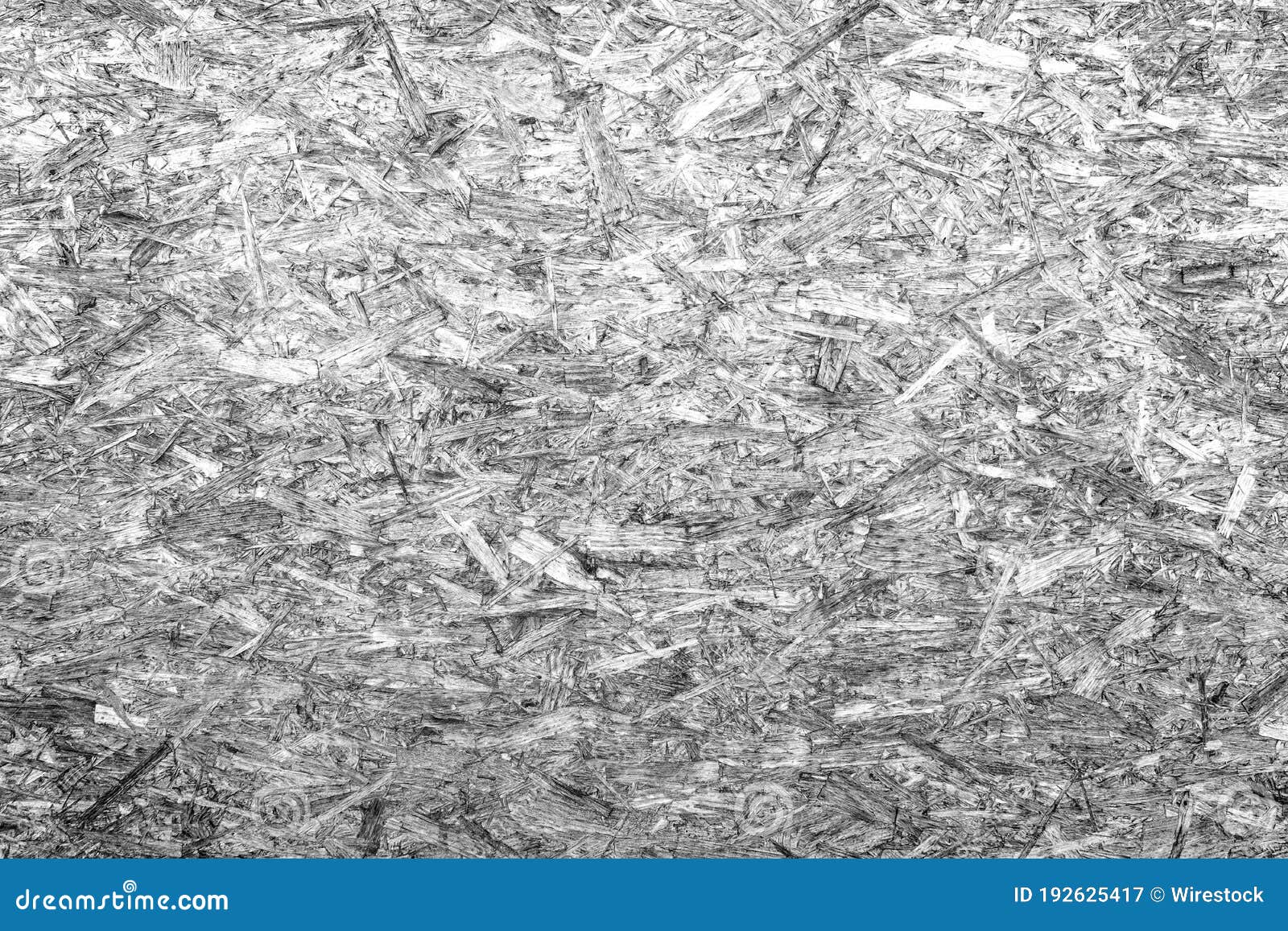 Grayscale Wood Texture With Realistic Natural Structure Vector ...