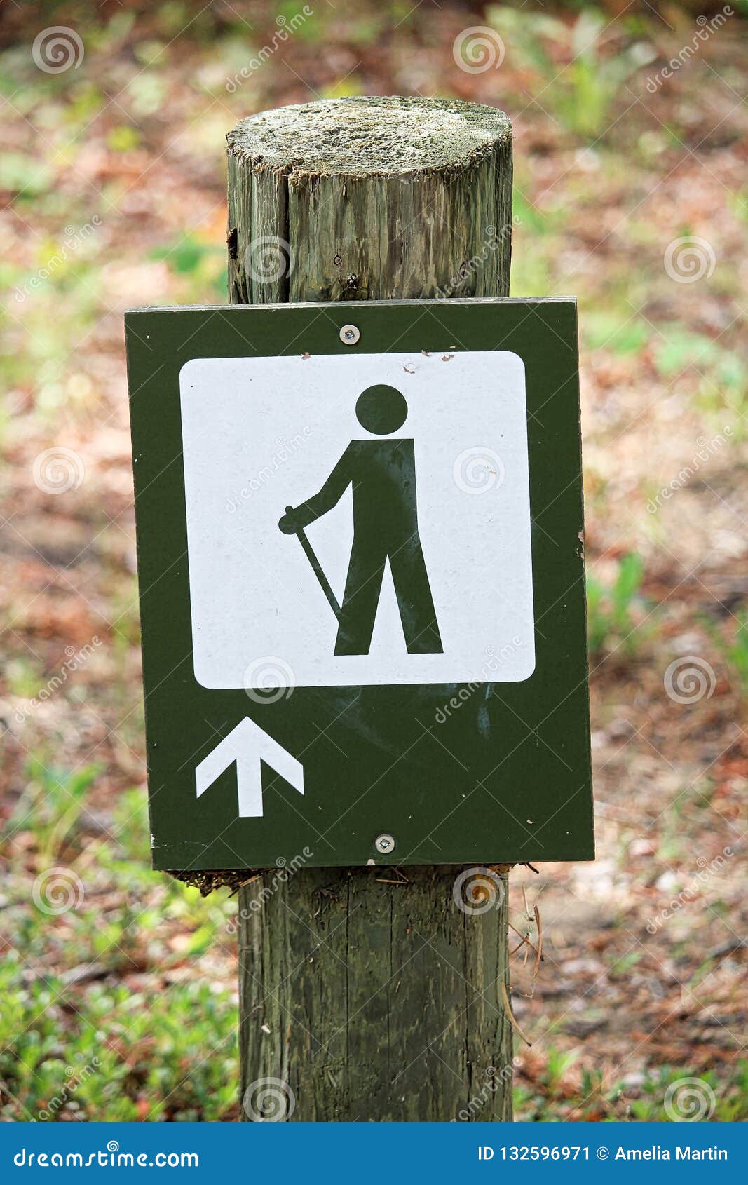 Hiking Trail Sign Stock Photos - Download 8,703 Royalty Free Photos