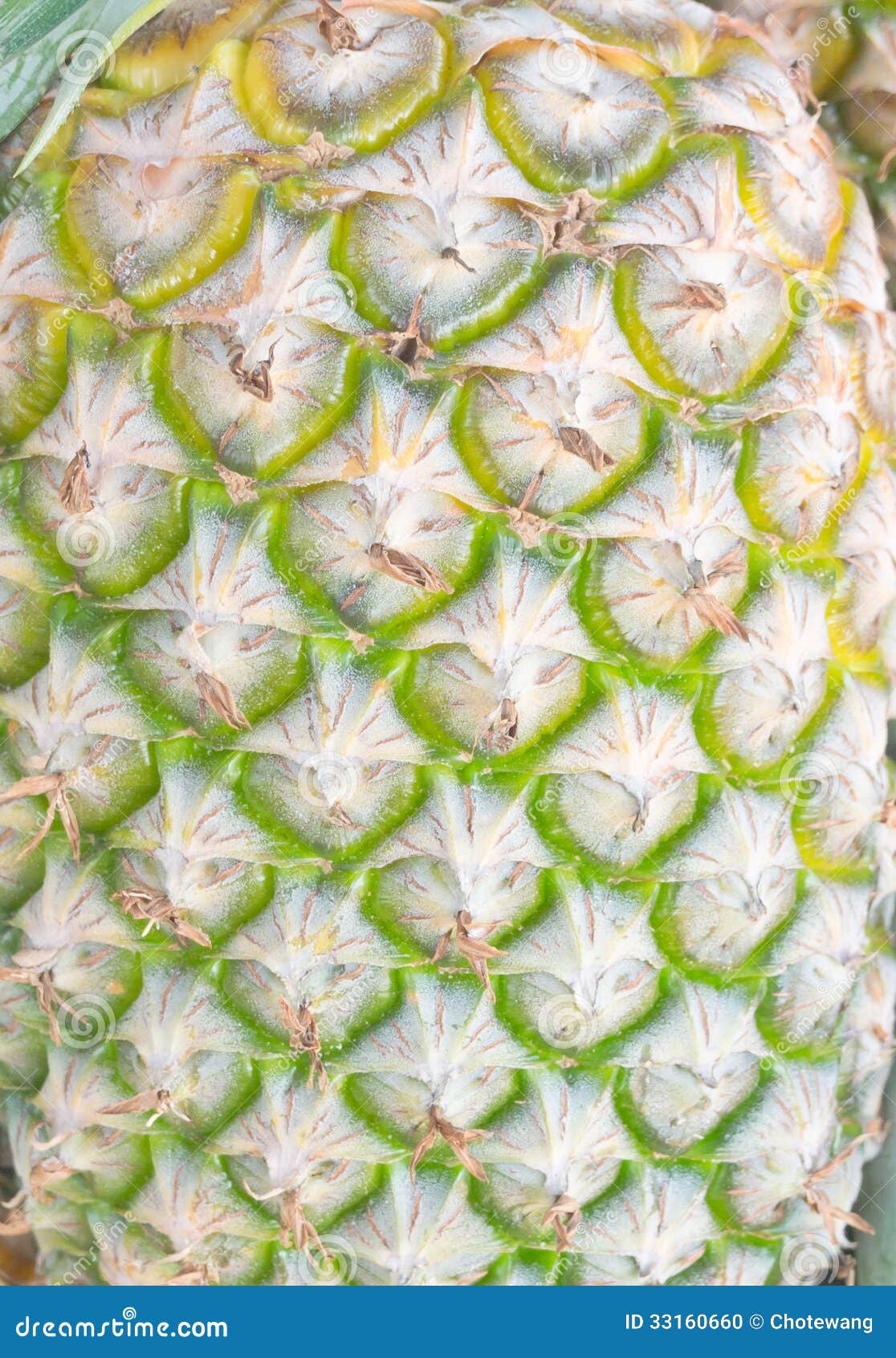 Closeup of Green Pineapple Texture Stock Photo - Image of macro ...