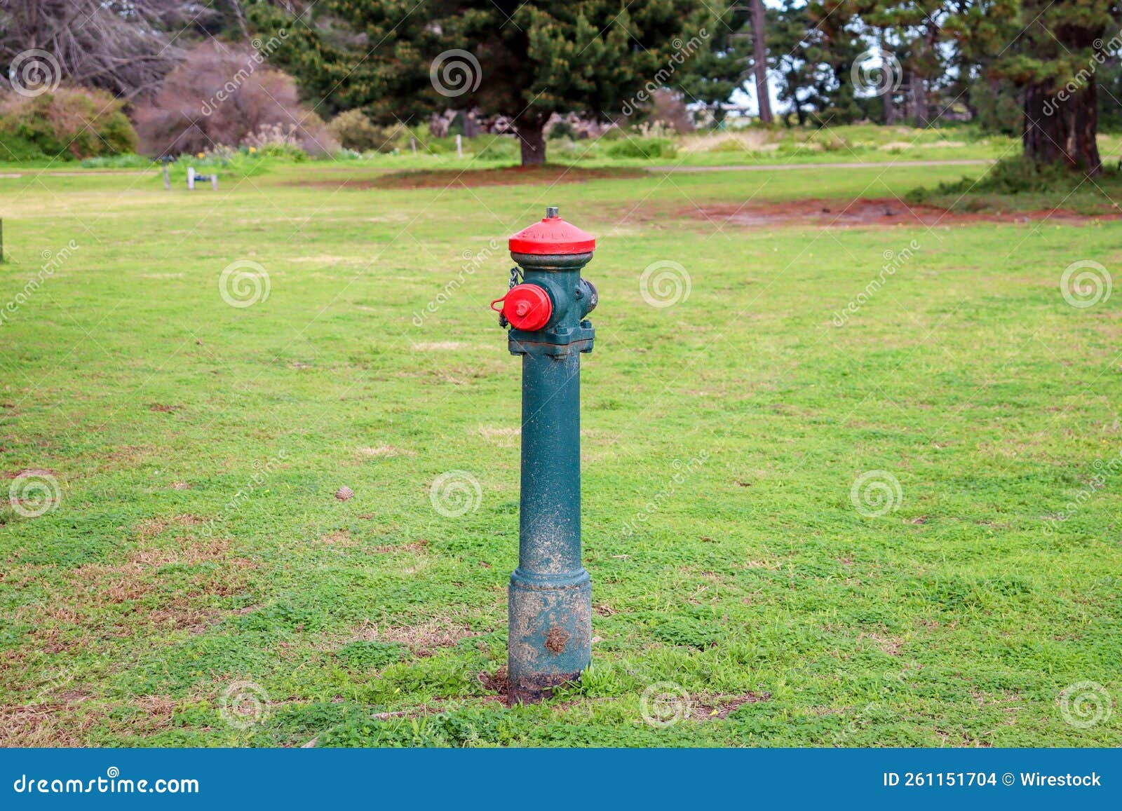 Closeup of Green and Red Fire Hydrant on the Grass, Trees Background ...