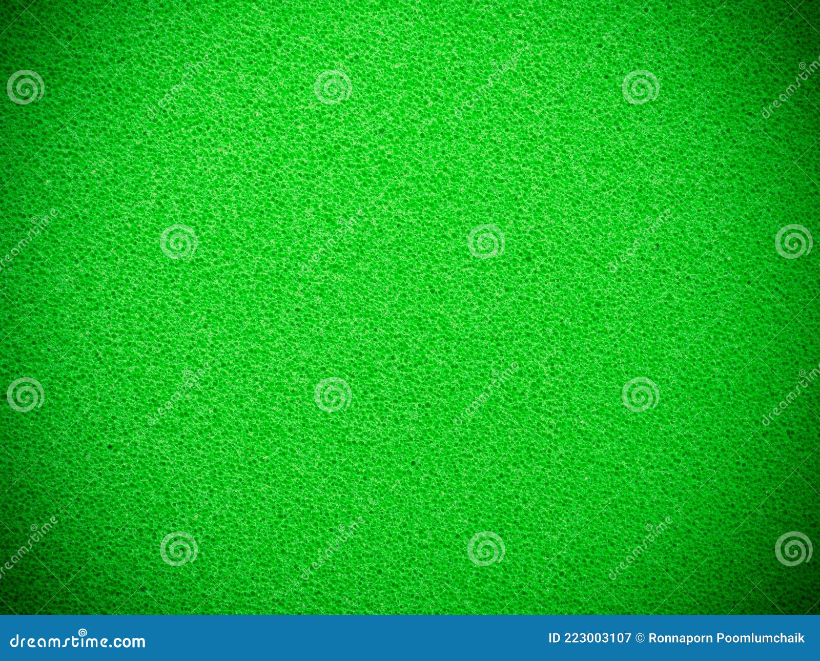 Closeup Green Sponge Detail Texture for Wallpaper and Abstract ...
