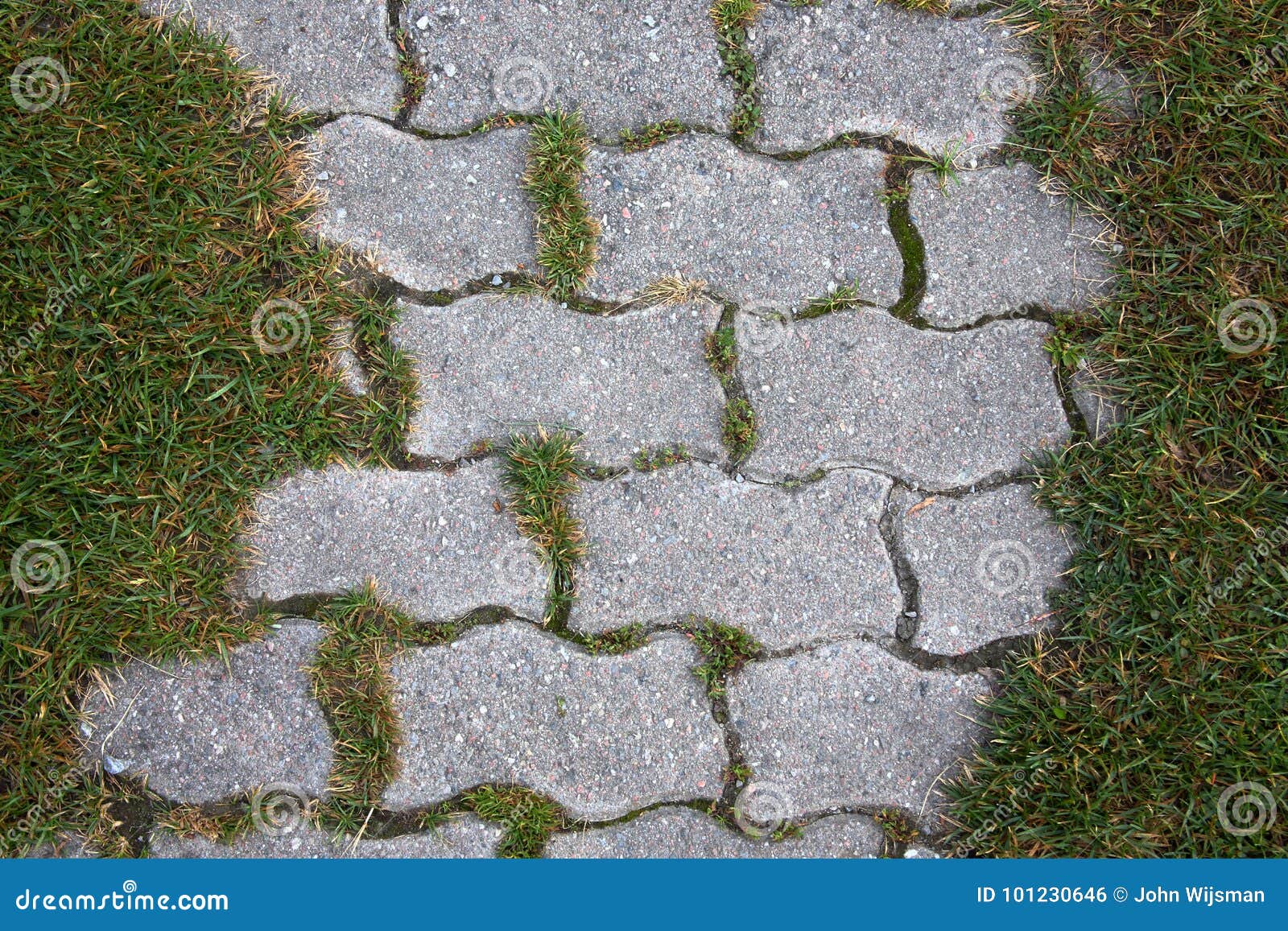 Closeup of a Grey Brick Pathway through Grass Stock Photo - Image of ...