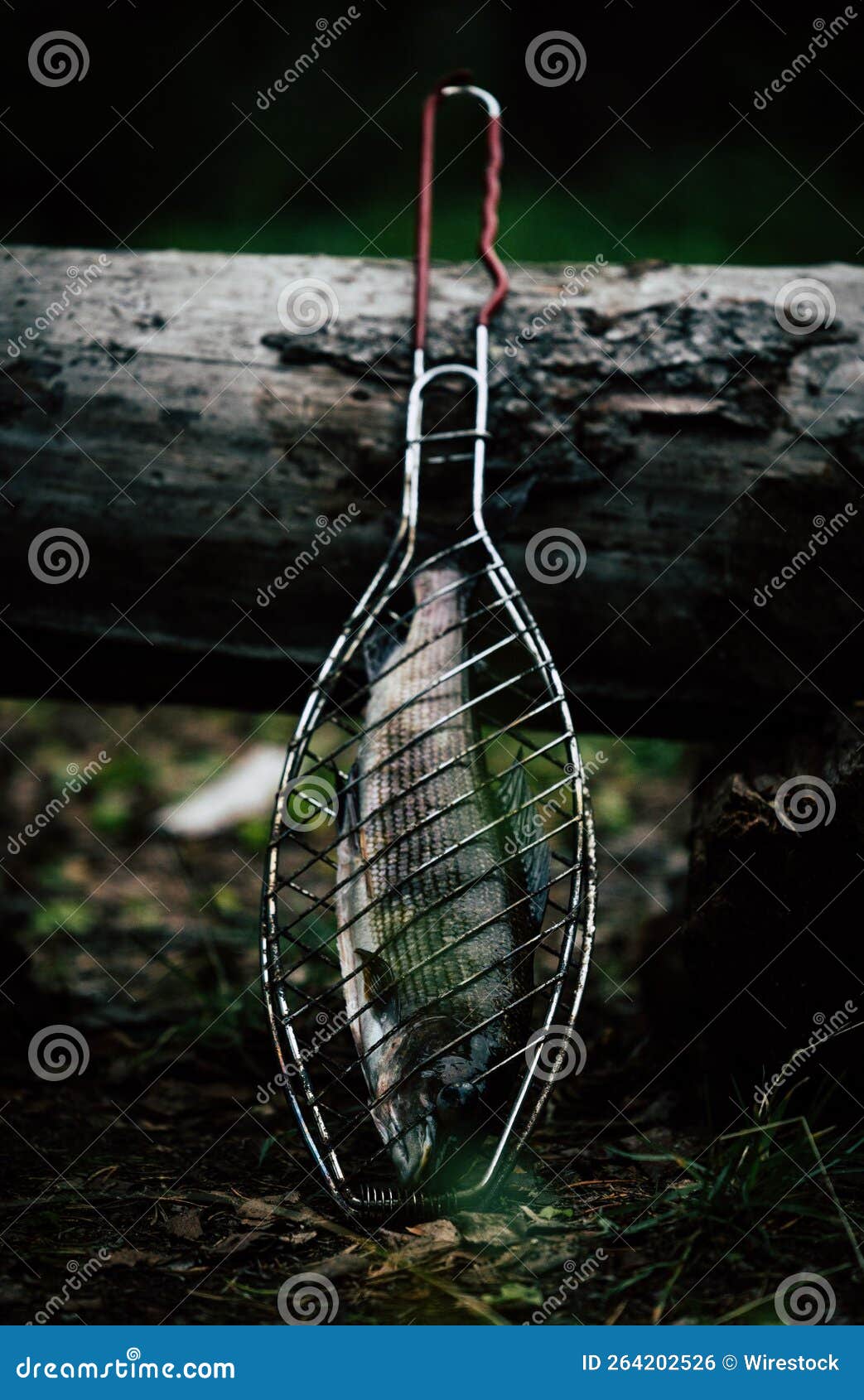 Closeup of a Grill Grate with a Fish Near a Tree Trunk Dark, Blurred ...