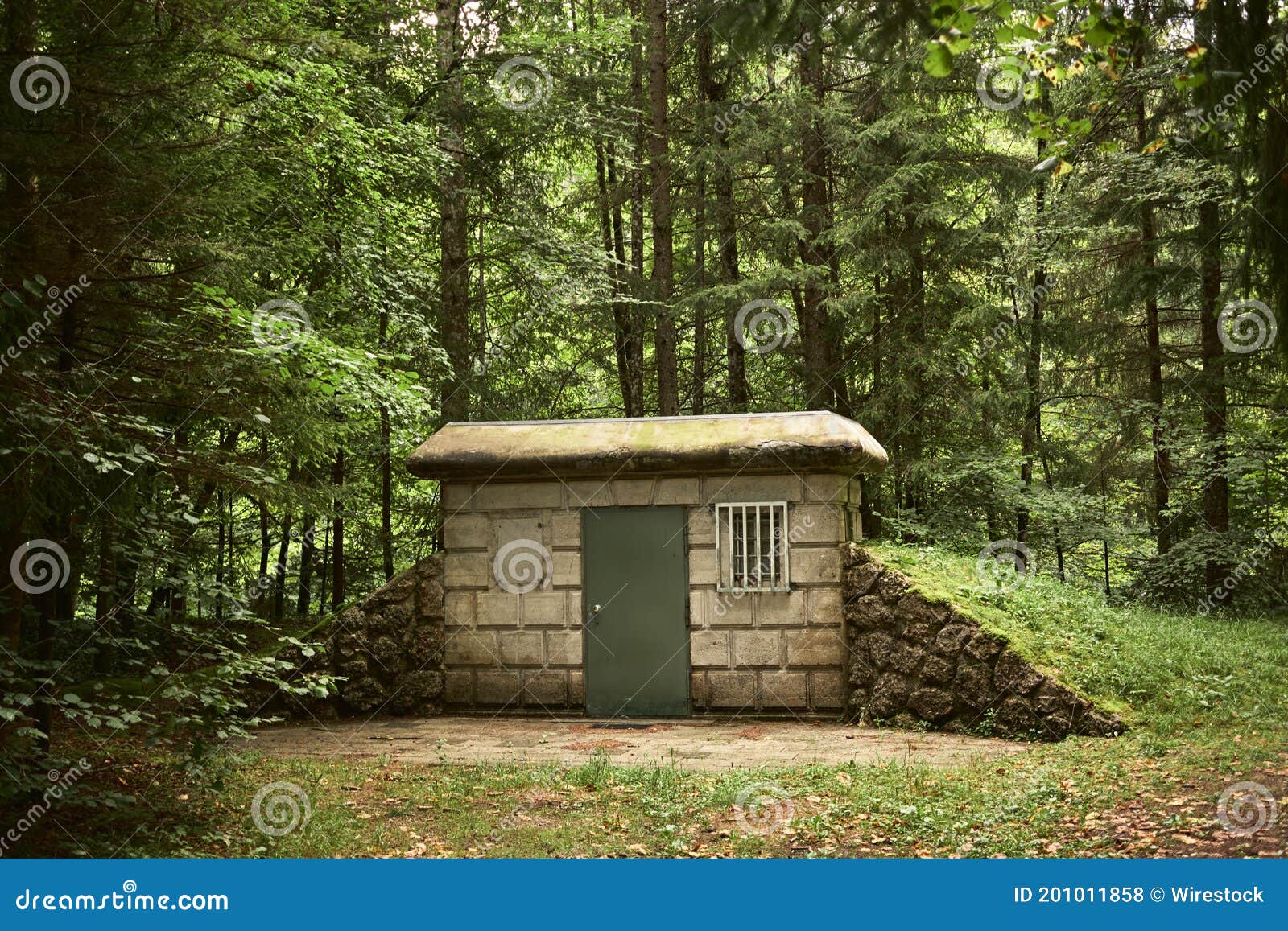 Closeup of a Ground Cellar, Small Stone Construction in the Woodland ...