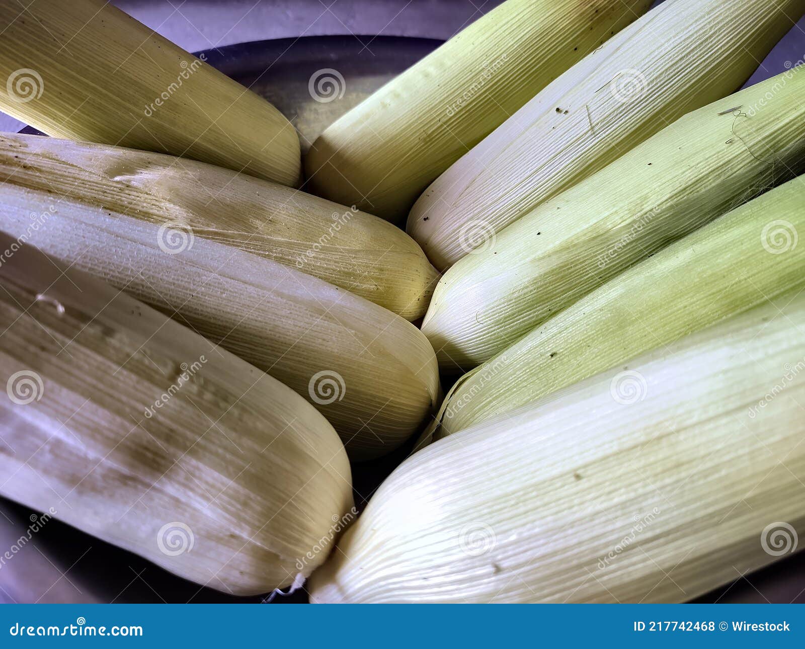 Closeup of a Group of Maize Plants in a Bowl with Sunlight Falling on ...