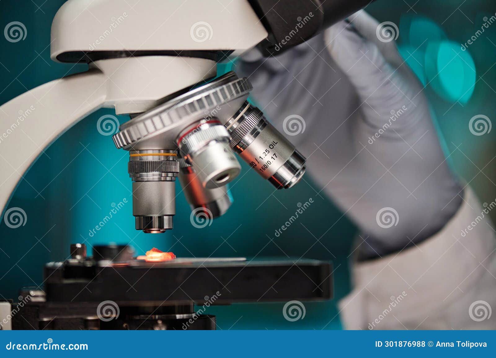 Artificial Meat Under Microscope Magnification Stock Photo - Image of ...